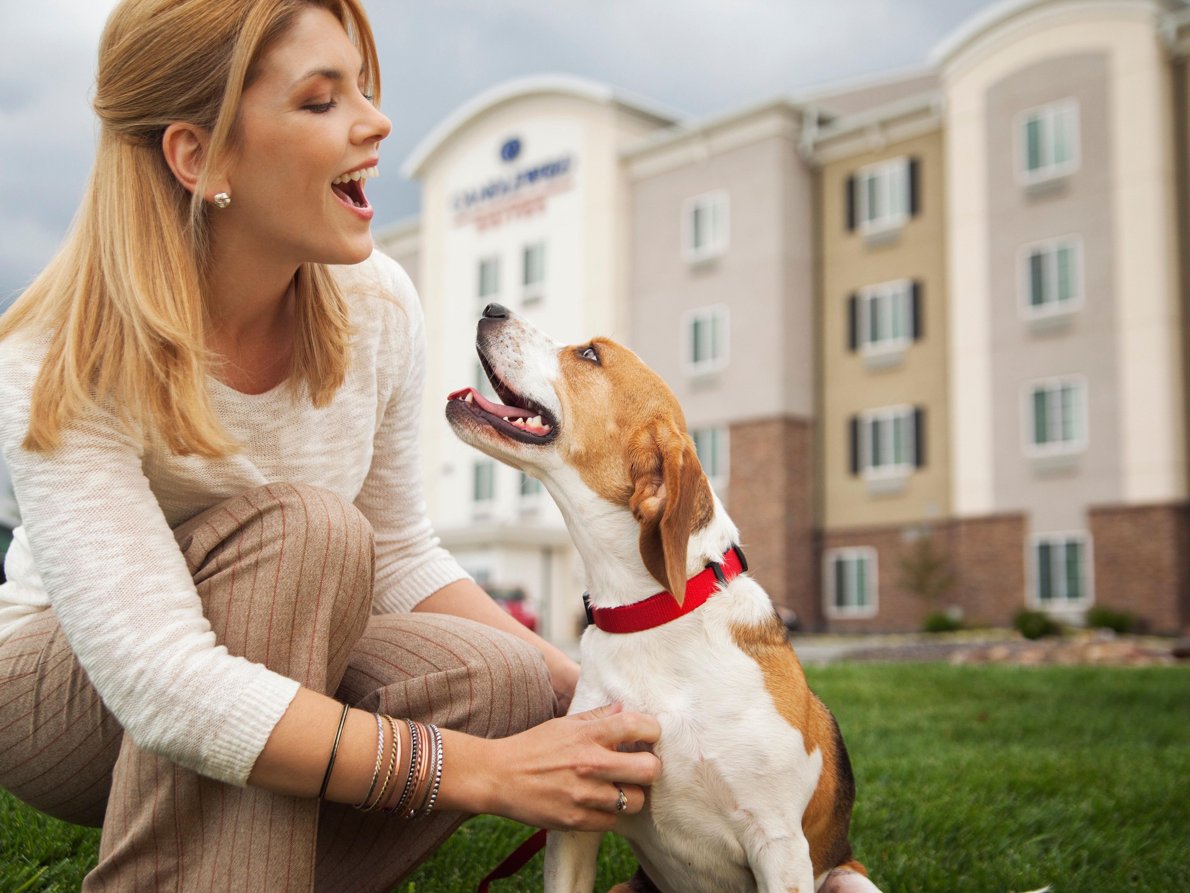 Pet Friendly Hotels Round Rock Tx