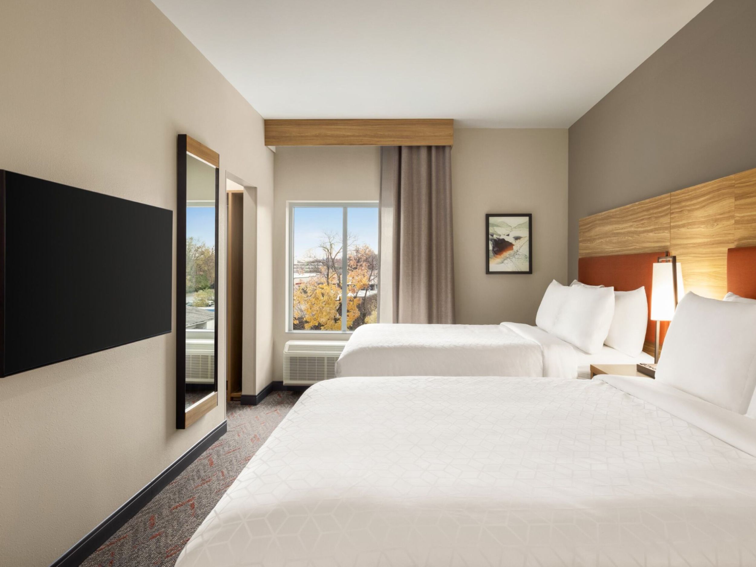 Our Suites
