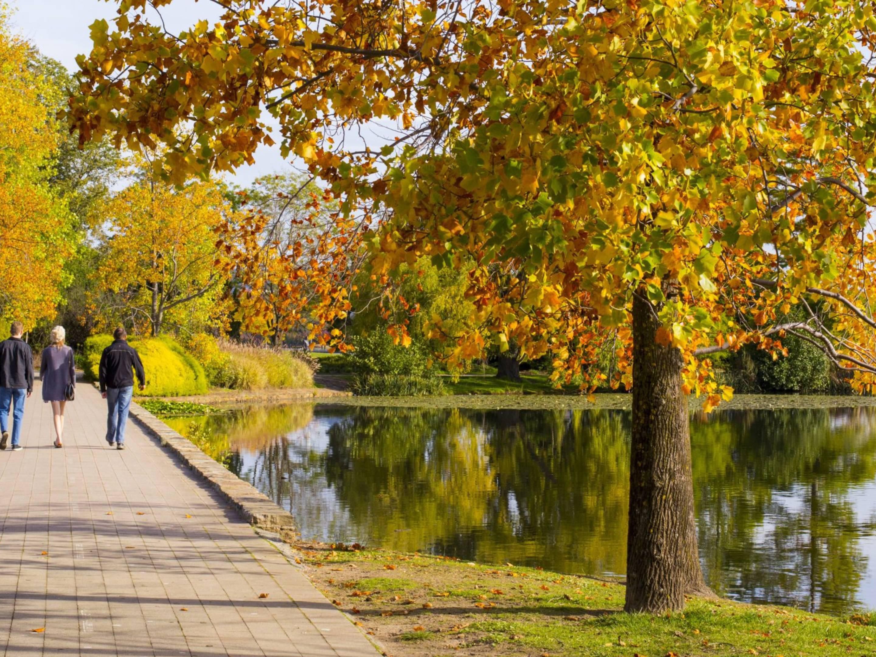 Hotel Accommodation Canberra CBD | Crowne Plaza Hotel