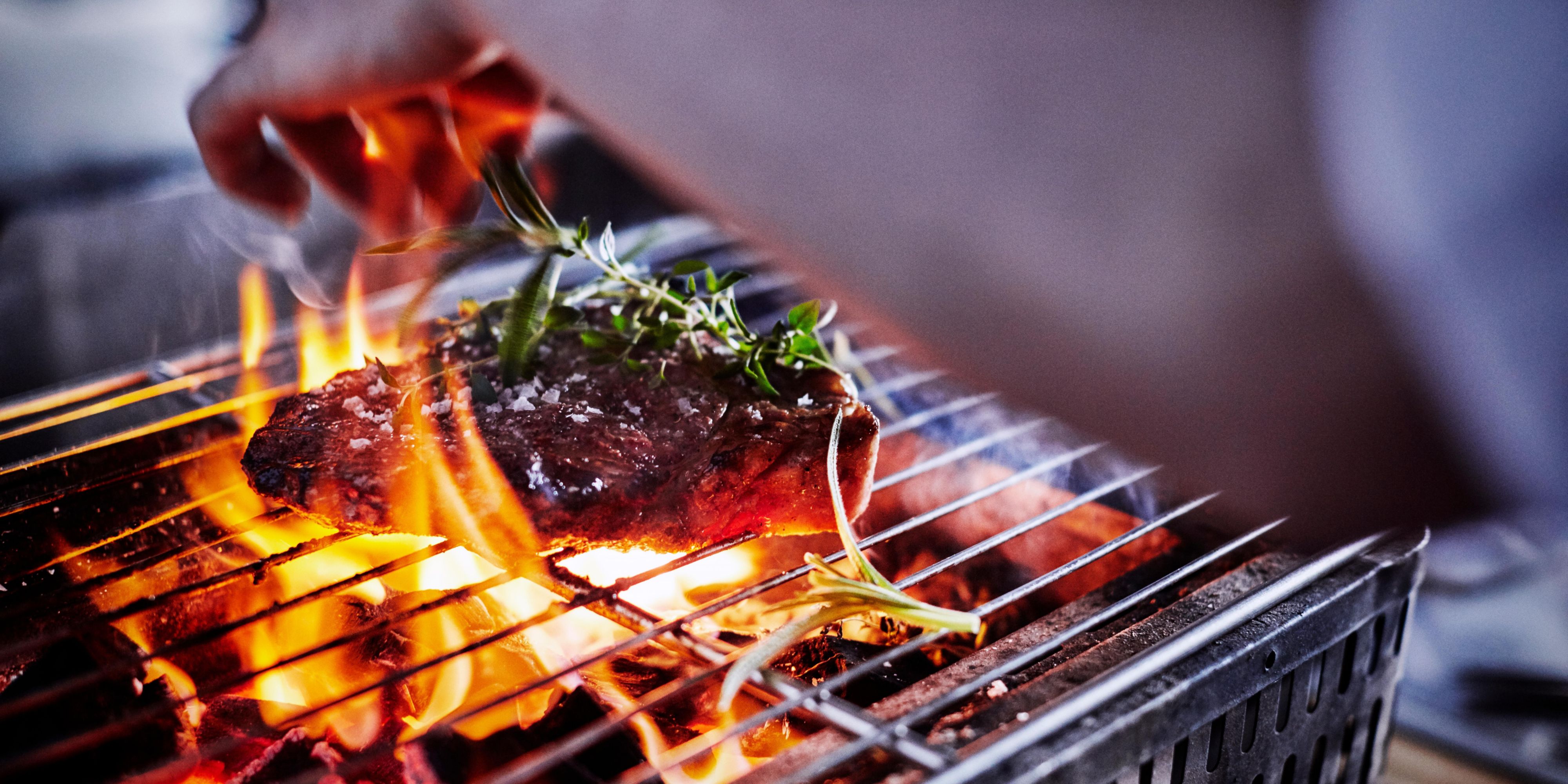 Enjoy delicious dining at Restaurant BARK