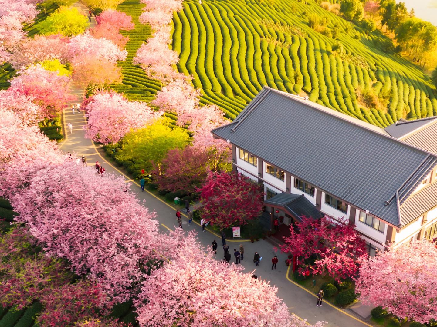 Crowne Plaza Shenzhen Futian - Shenzhen, Mainland China