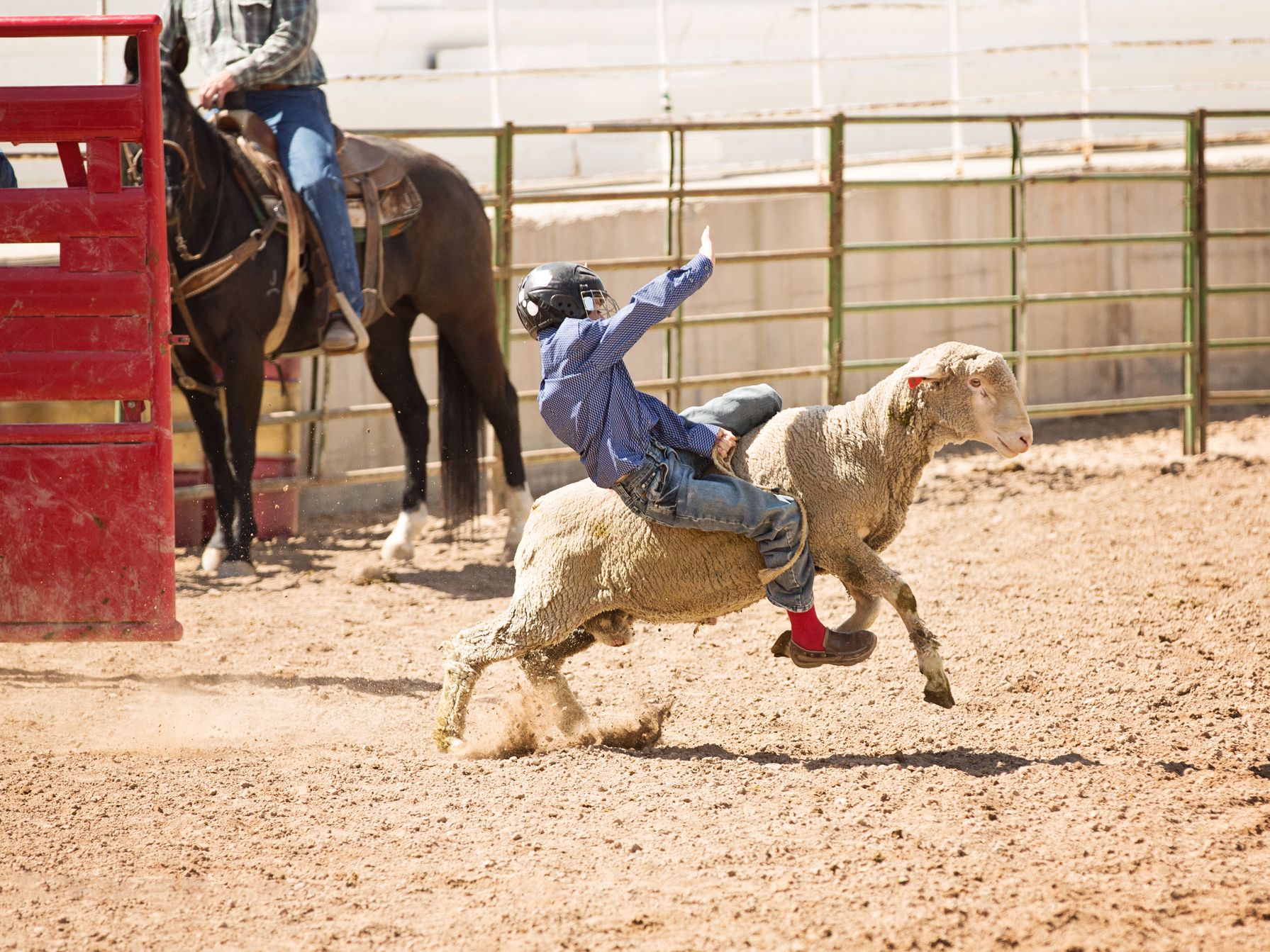 Things to Do in Estes Park | Holiday Inn Estes Park