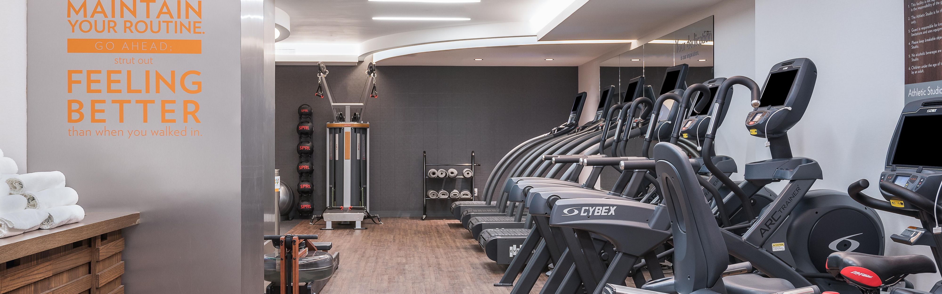 Pet Friendly Hotels in Times Square | EVEN Hotel New York-Times Square ...