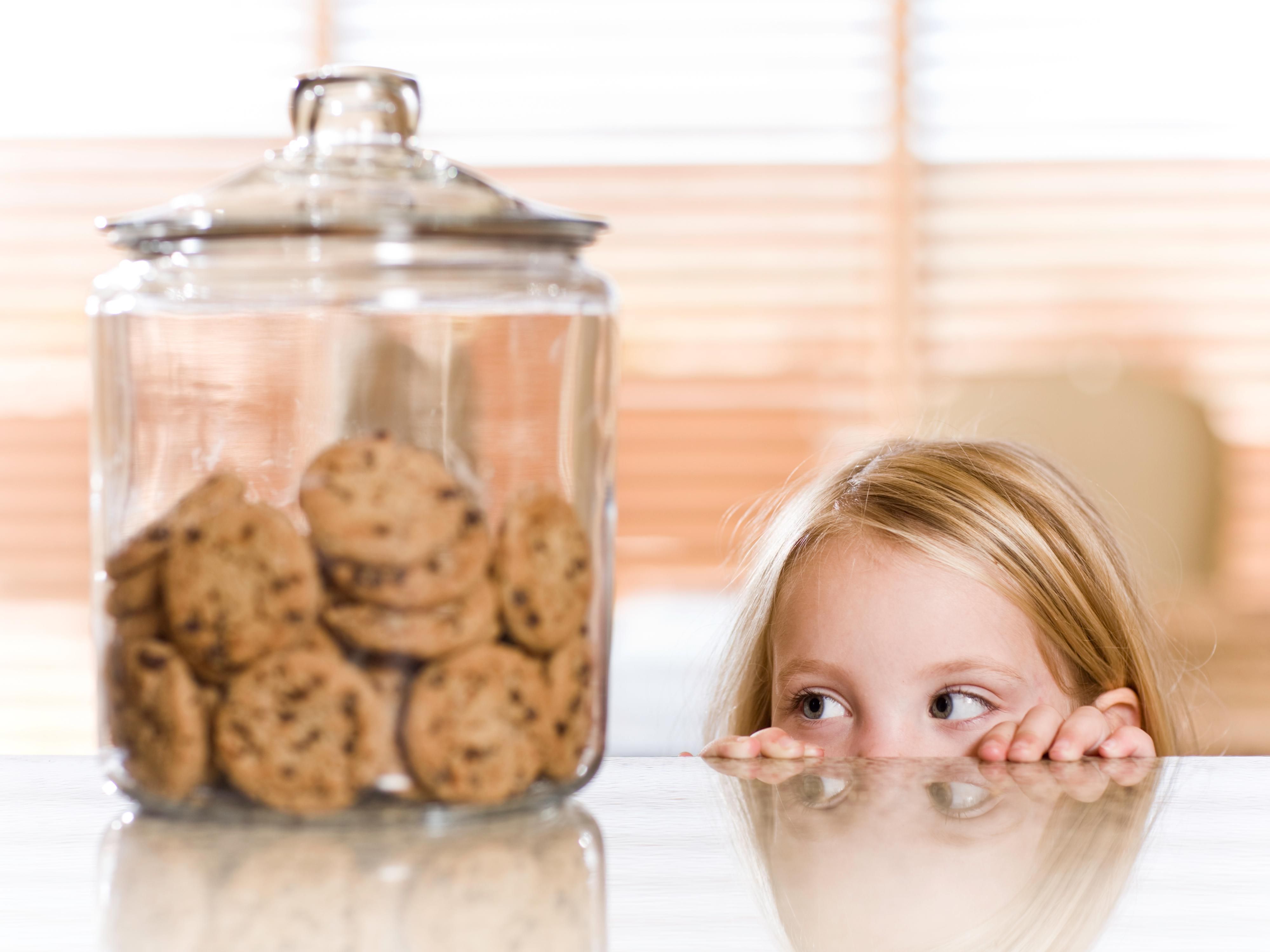 Hotel in Elmshorn | Garner Hotel Elmshorn