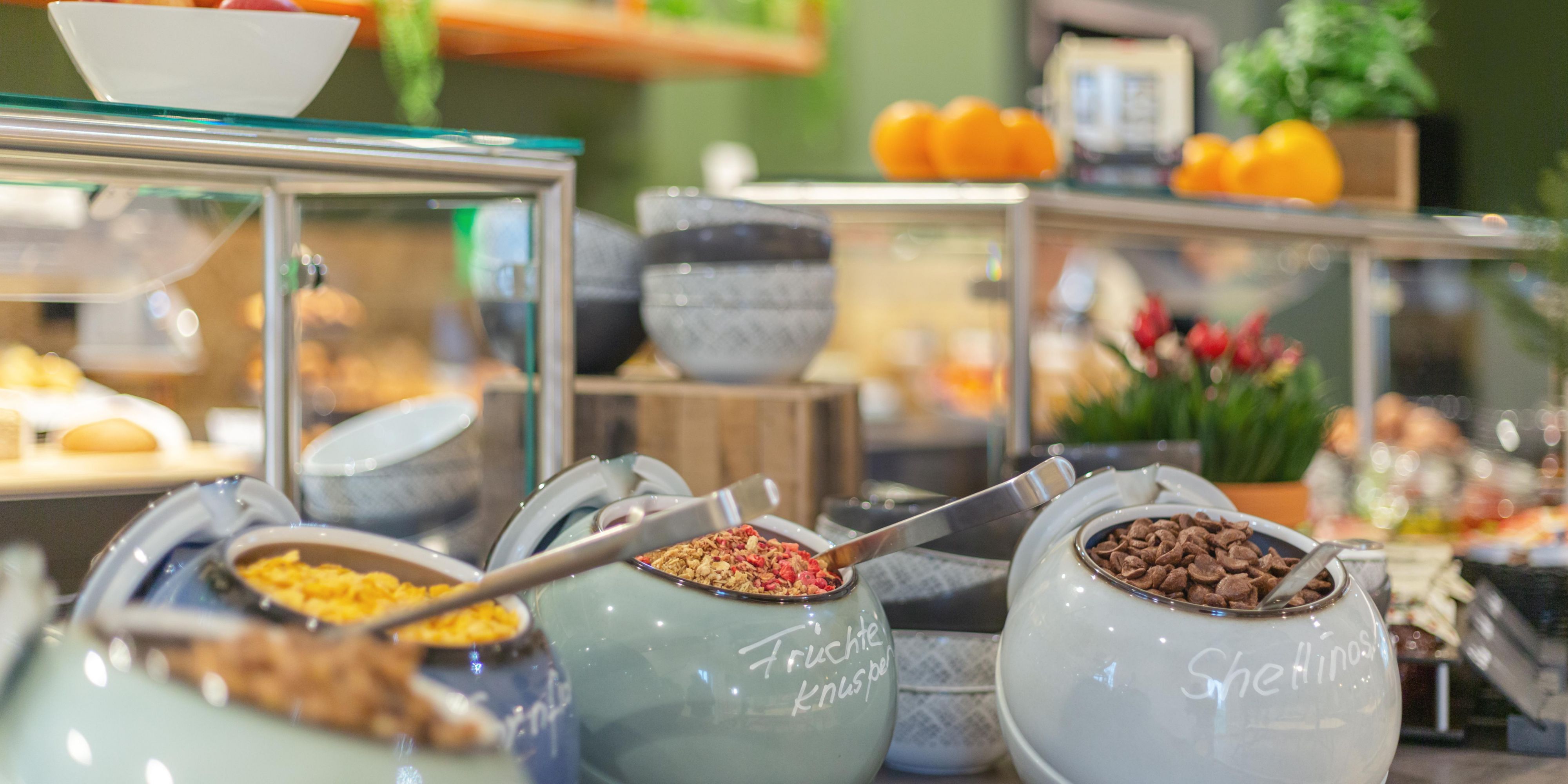 Potsdam Restaurants Near Amity Potsdam