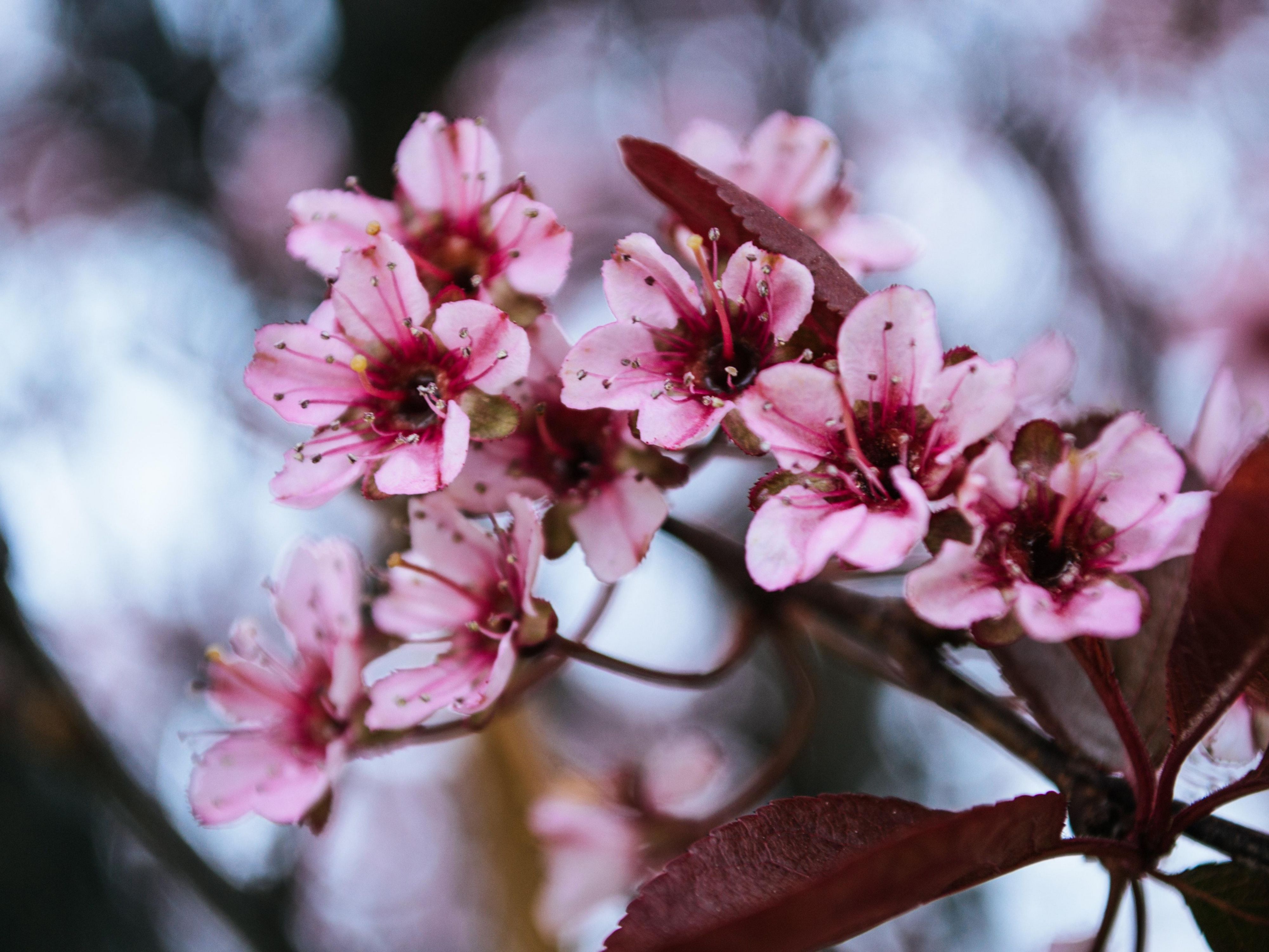 Hotels in College Park, MD | Holiday Inn Washington - College Park (1-95)