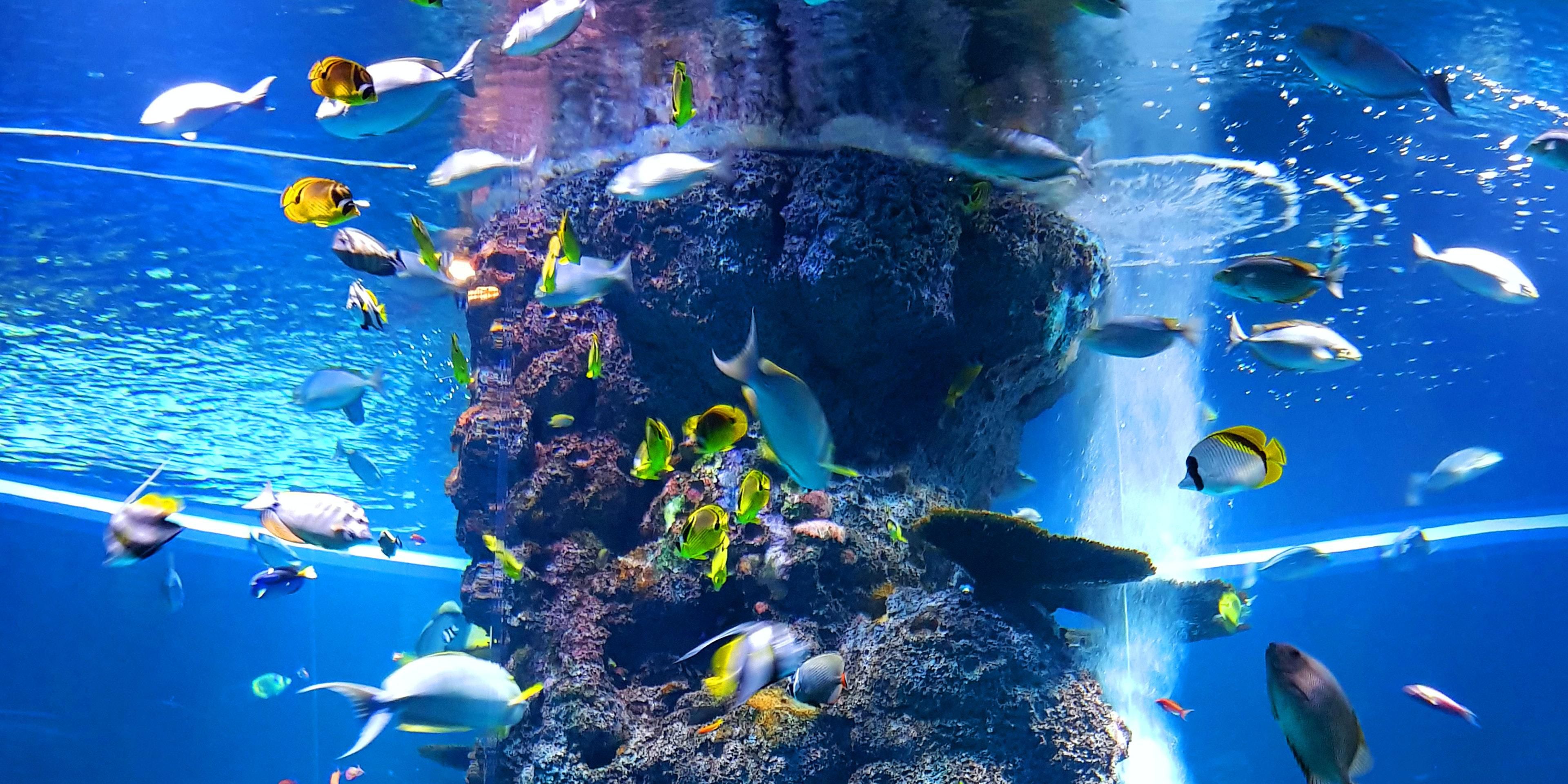 Hotels in Billings, MT near Airport | Holiday Inn Express & Suites ...