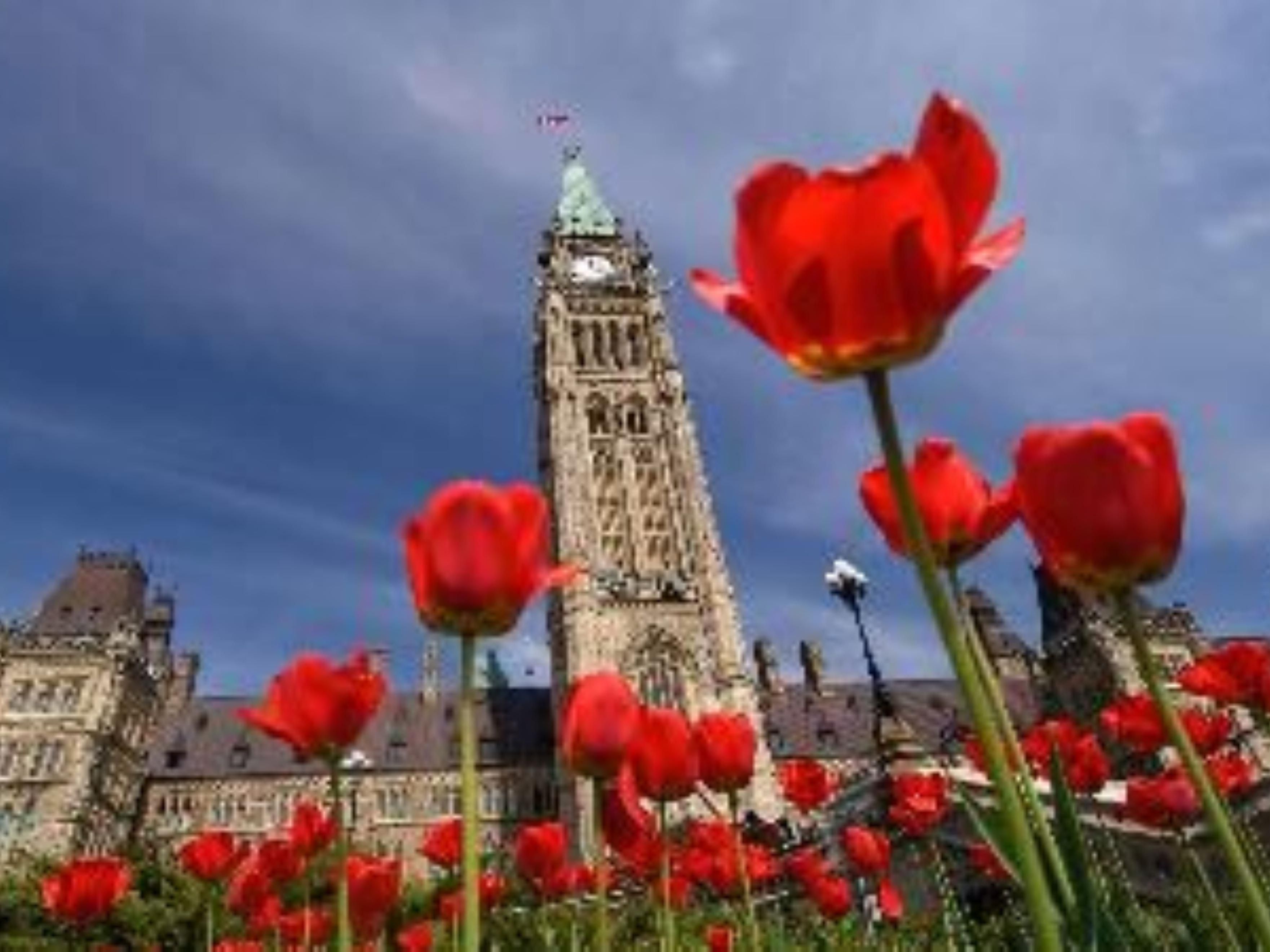 Holiday Inn Express & Suites Brandon - Brandon, Canada