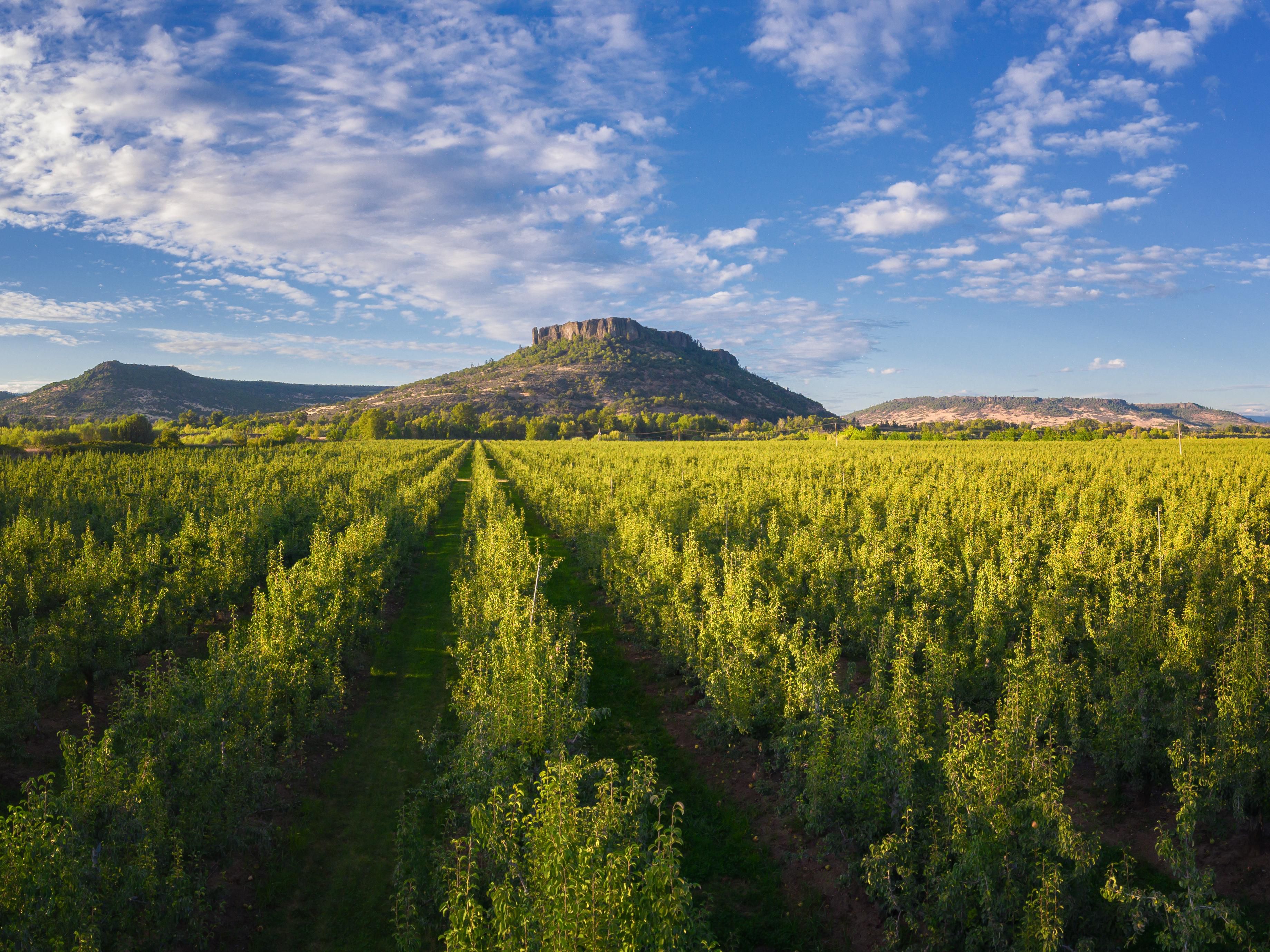 Medford Oregon Hotel | Holiday Inn Express & Suites Medford/Central Point