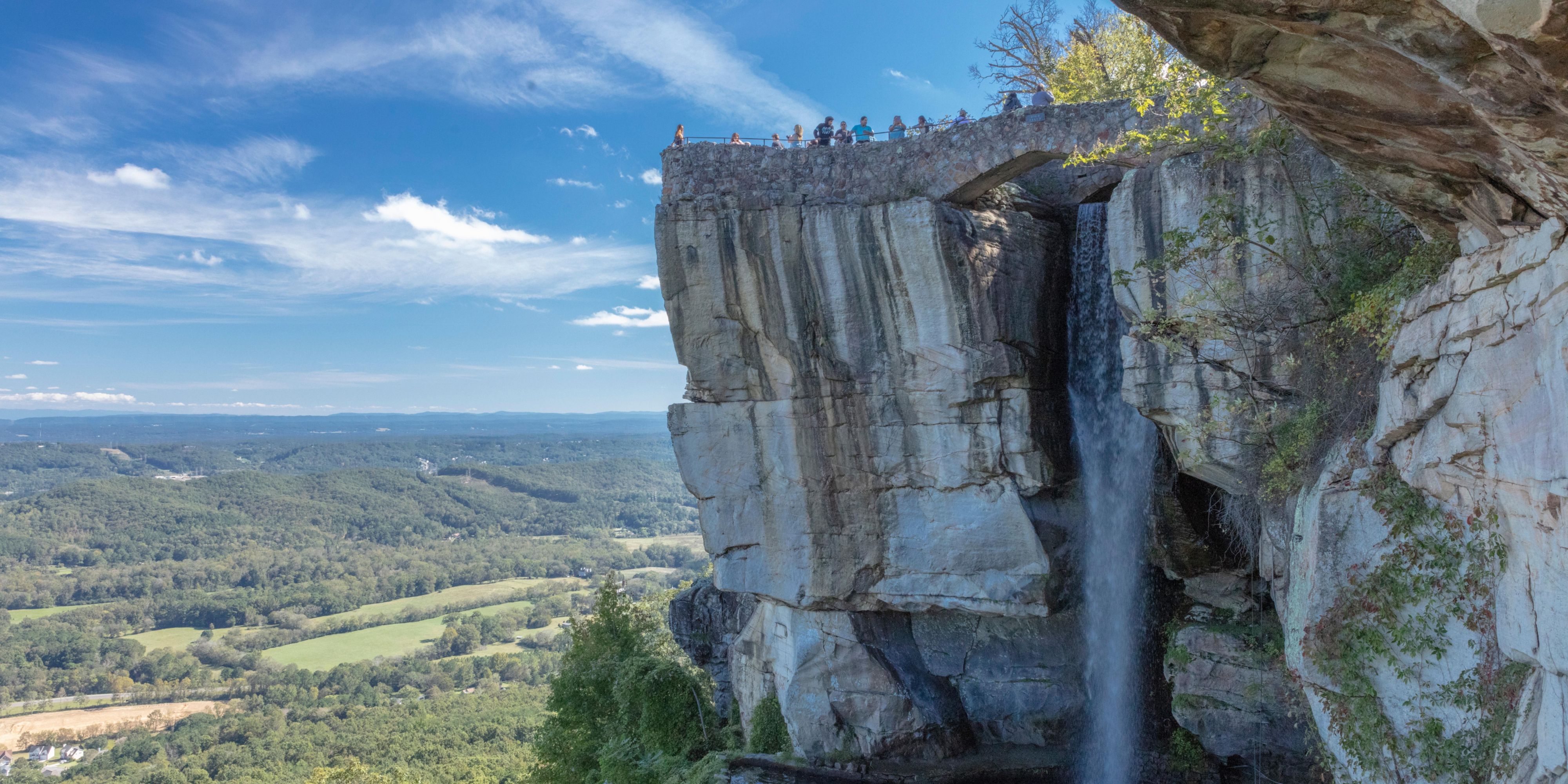 Rock City Gardens Kenya | Fasci Garden