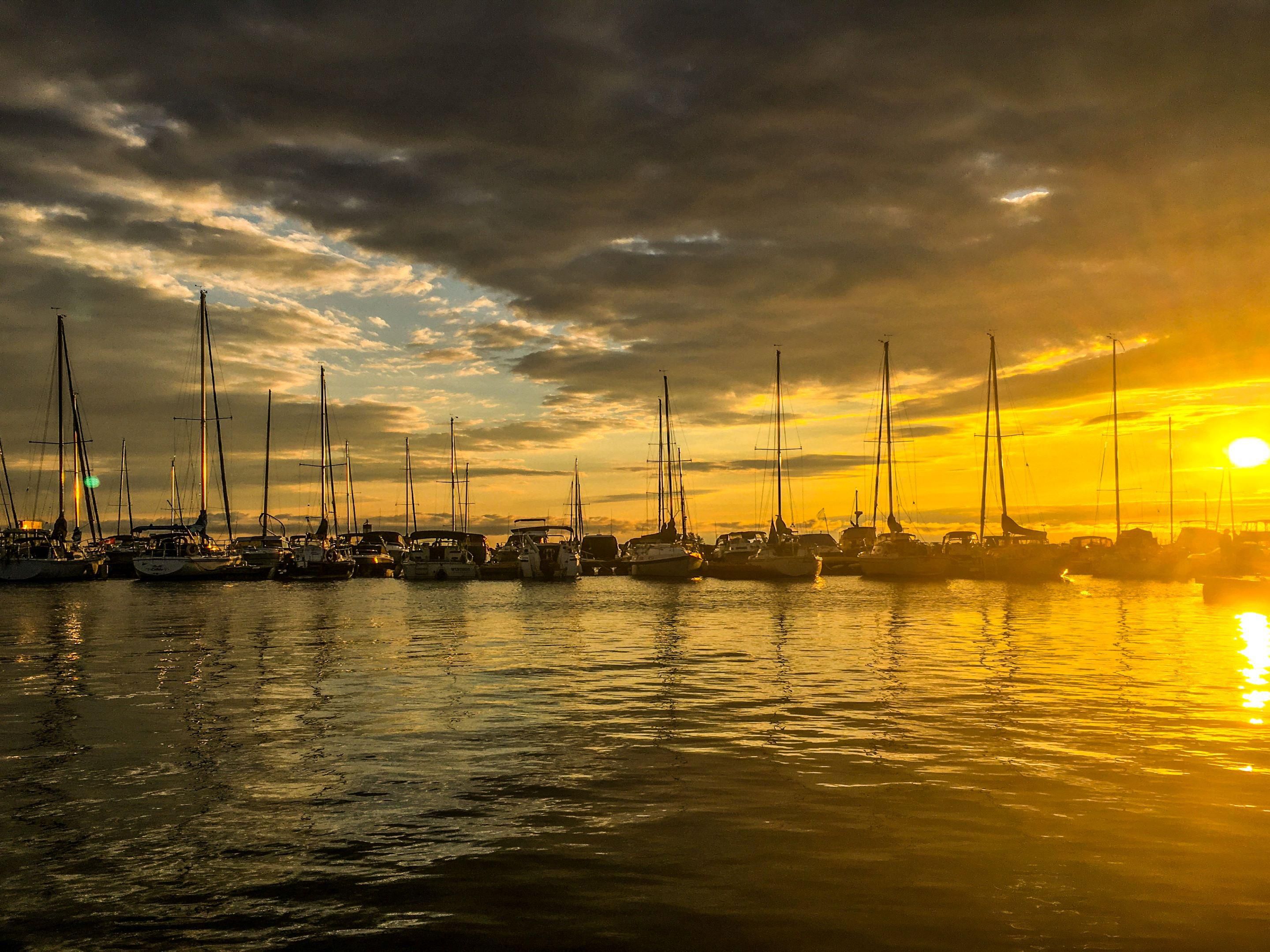 Holiday Inn Express & Suites Collingwood - Collingwood,