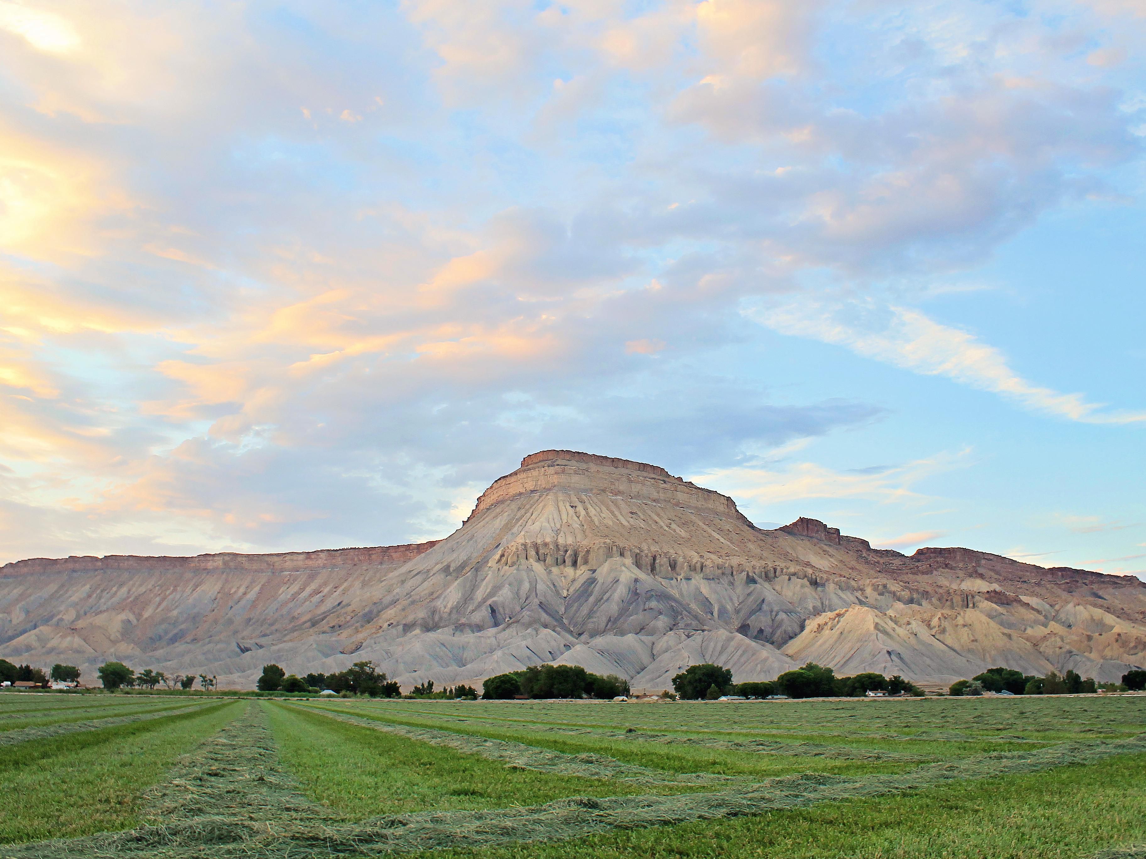 Holiday Inn Express & Suites Grand Junction - Grand Junction,