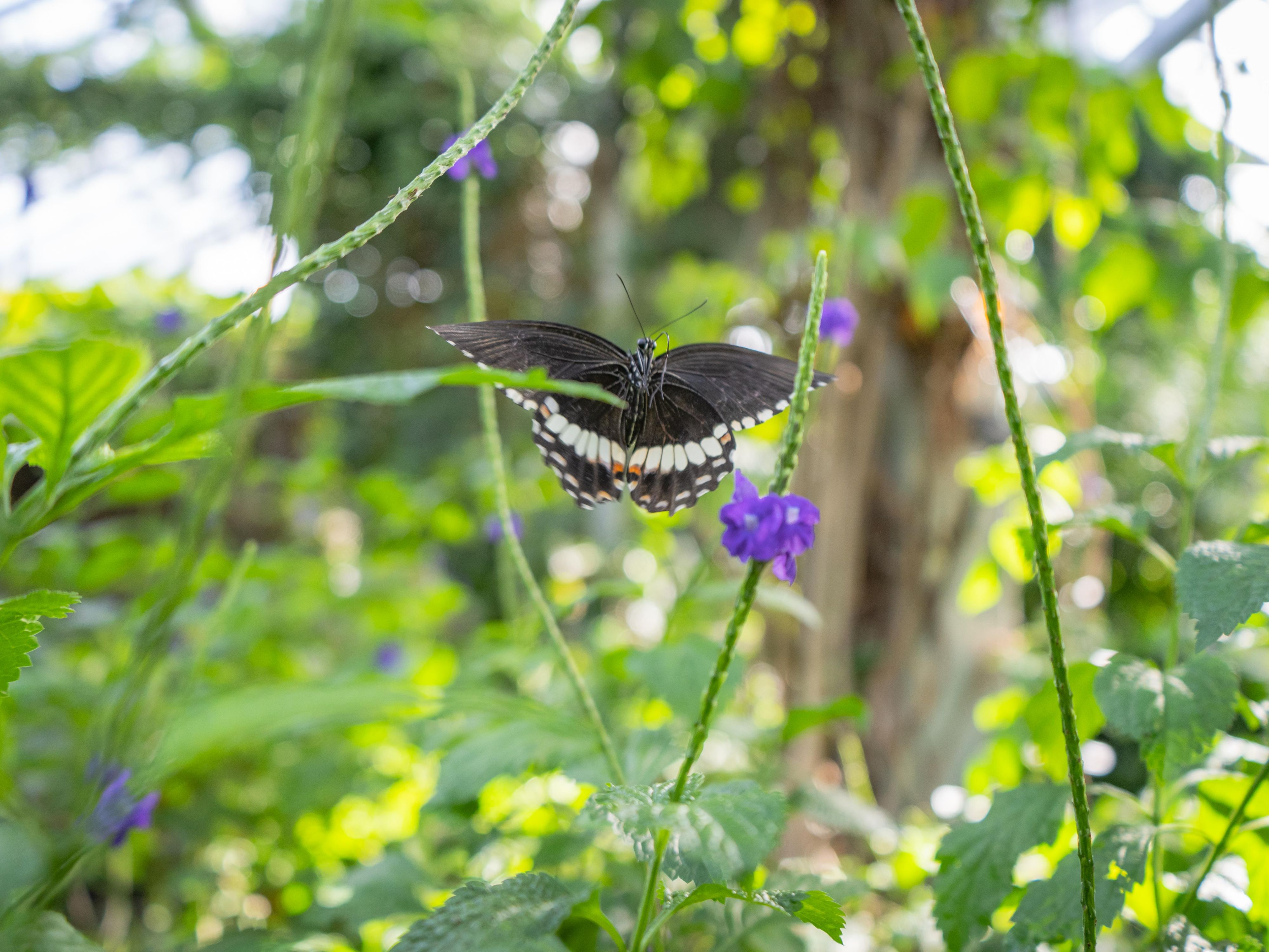 Boutique Hotel in Kitchener | Holiday Inn Express & Suites Kitchener ...