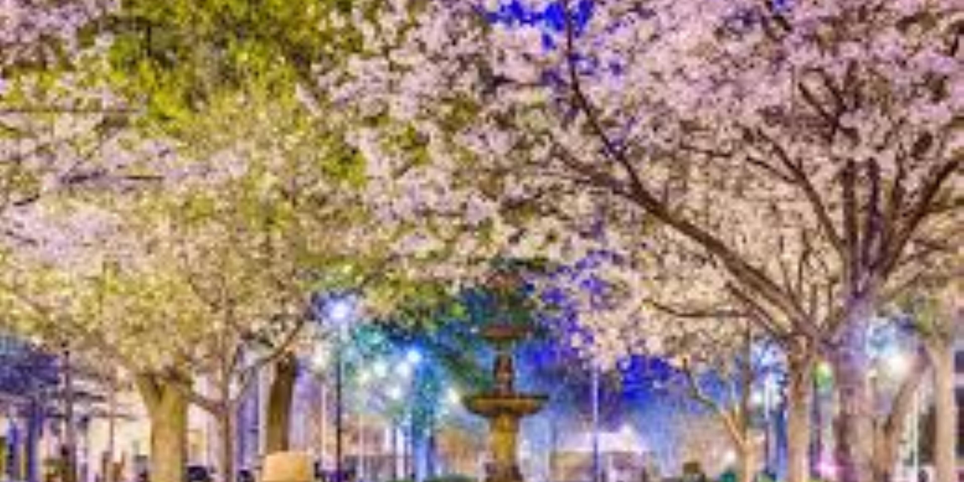 Macon Hotel | Holiday Inn Express & Suites Macon North