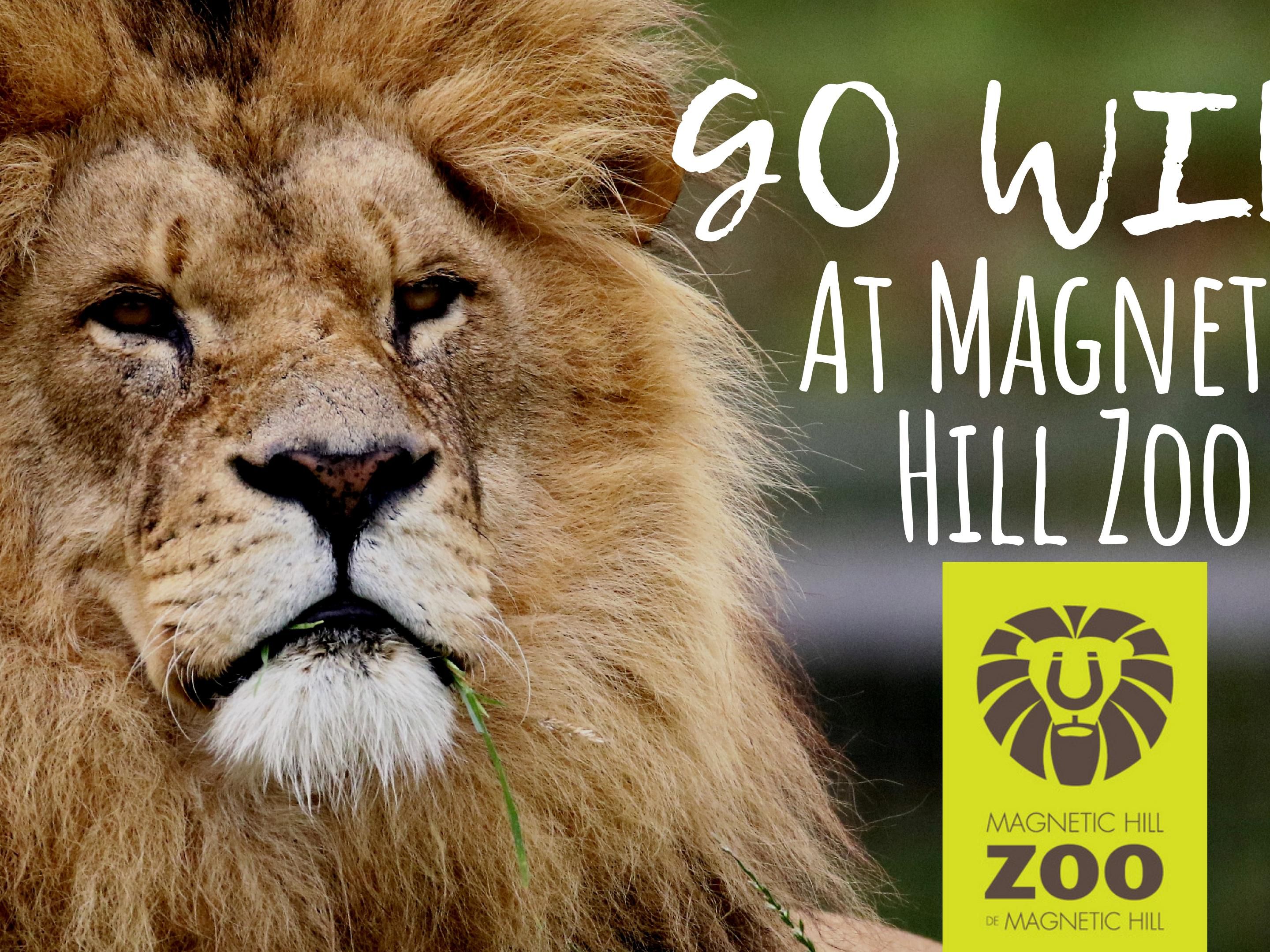 Holiday Inn Express & Suites Moncton - Moncton, Canada