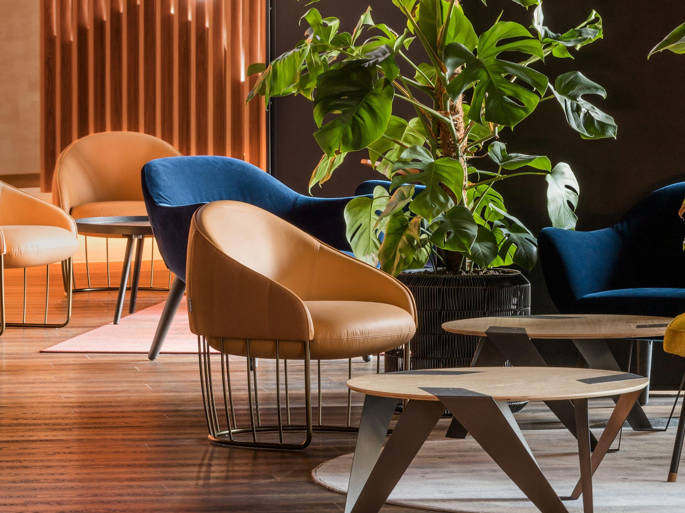 Downtown Naples Hotel | Holiday Inn Express & Suites Naples Downtown ...