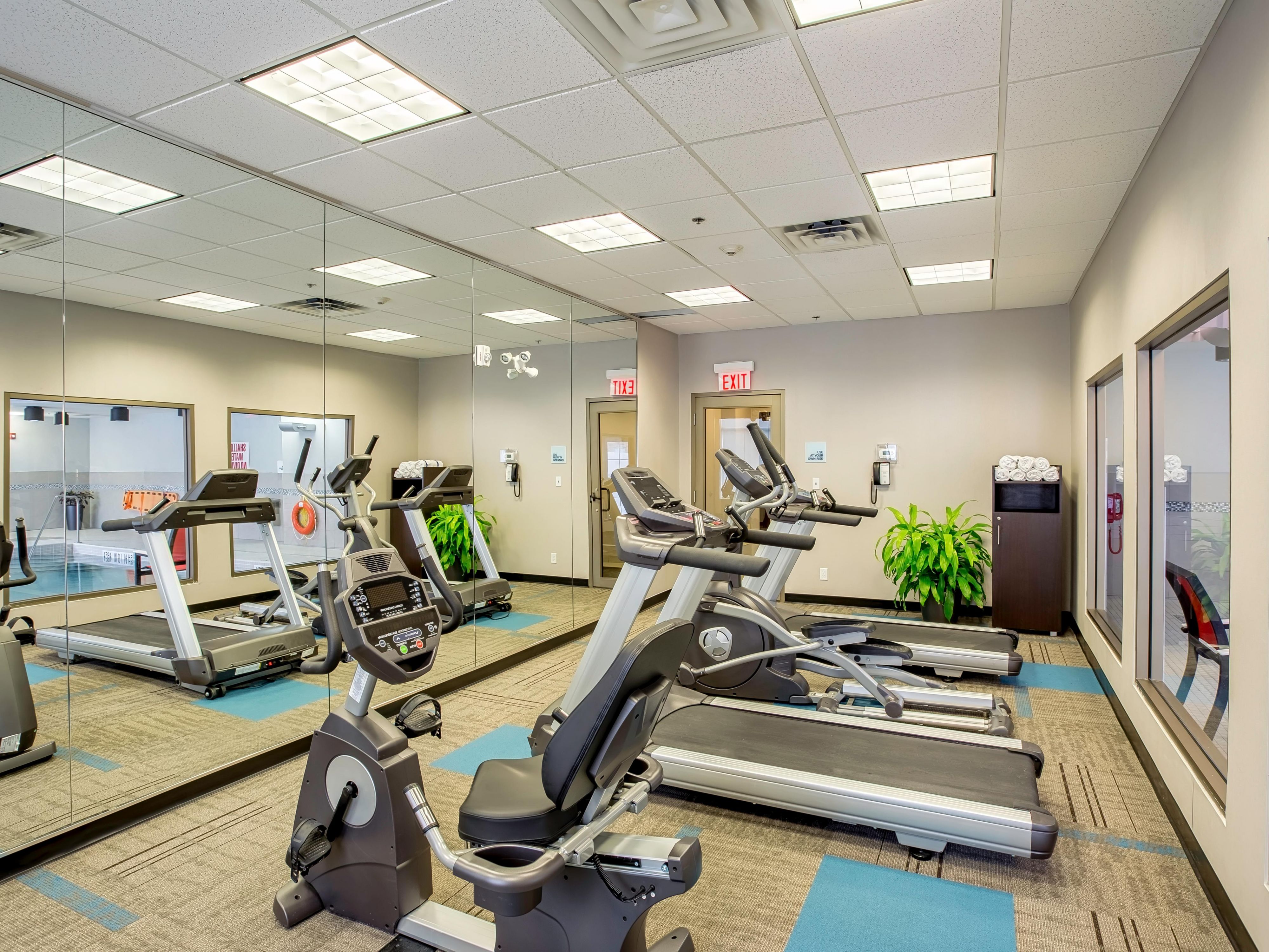 Pet friendly Hotels Ottawa | Holiday Inn Express & Suites Ottawa East ...