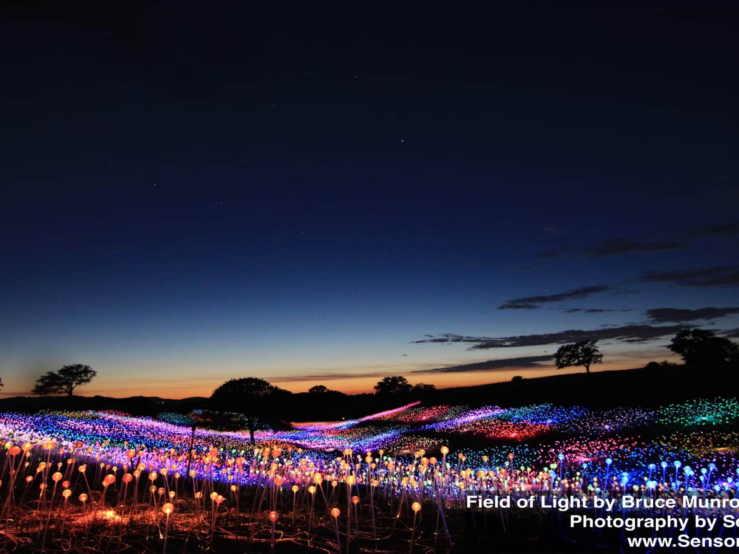 Paso Robles Hotel | Holiday Inn Express & Suites Paso Robles