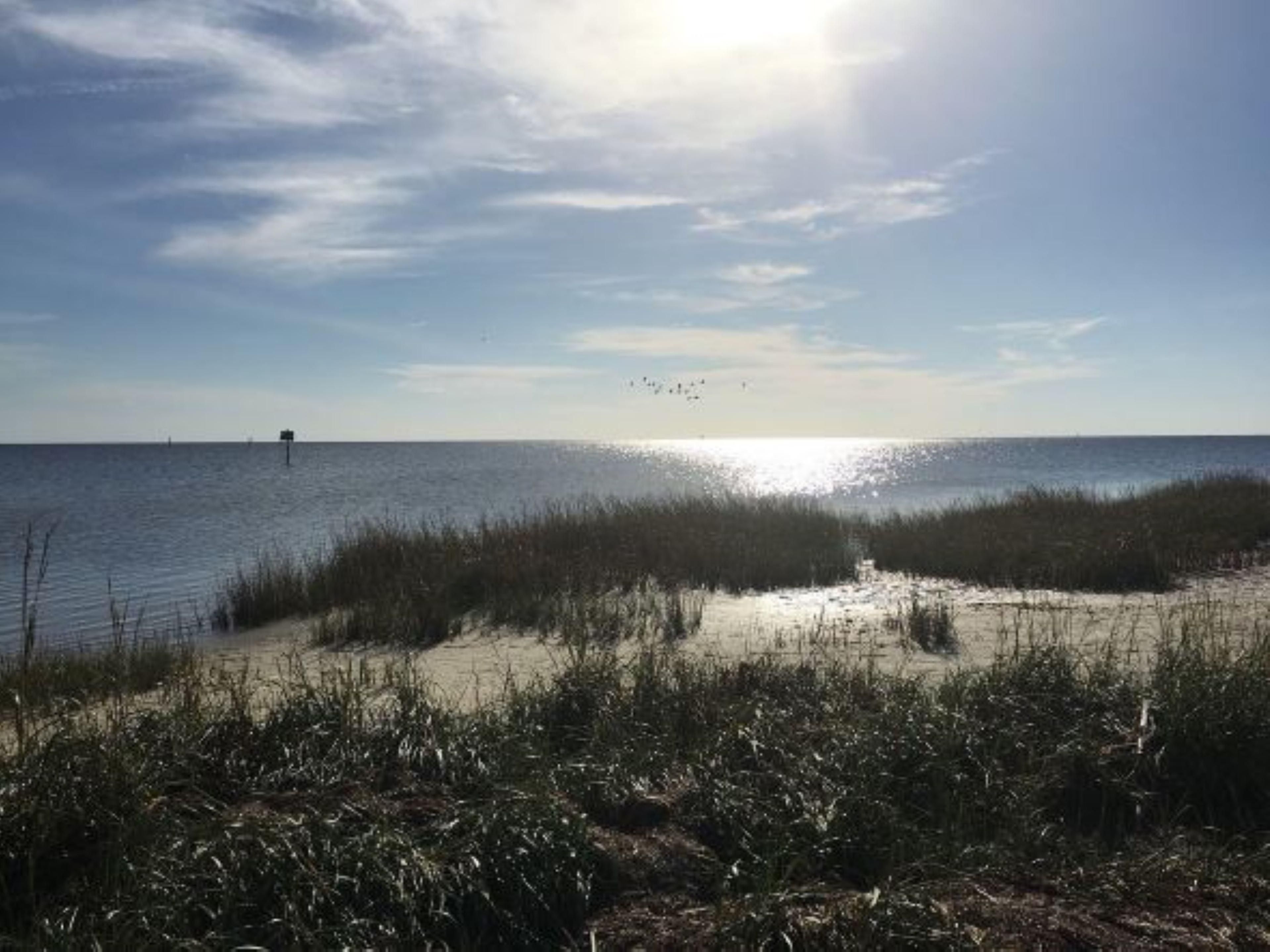 Affordable Hotel in Perry, FL | Holiday Inn Express & Suites Perry