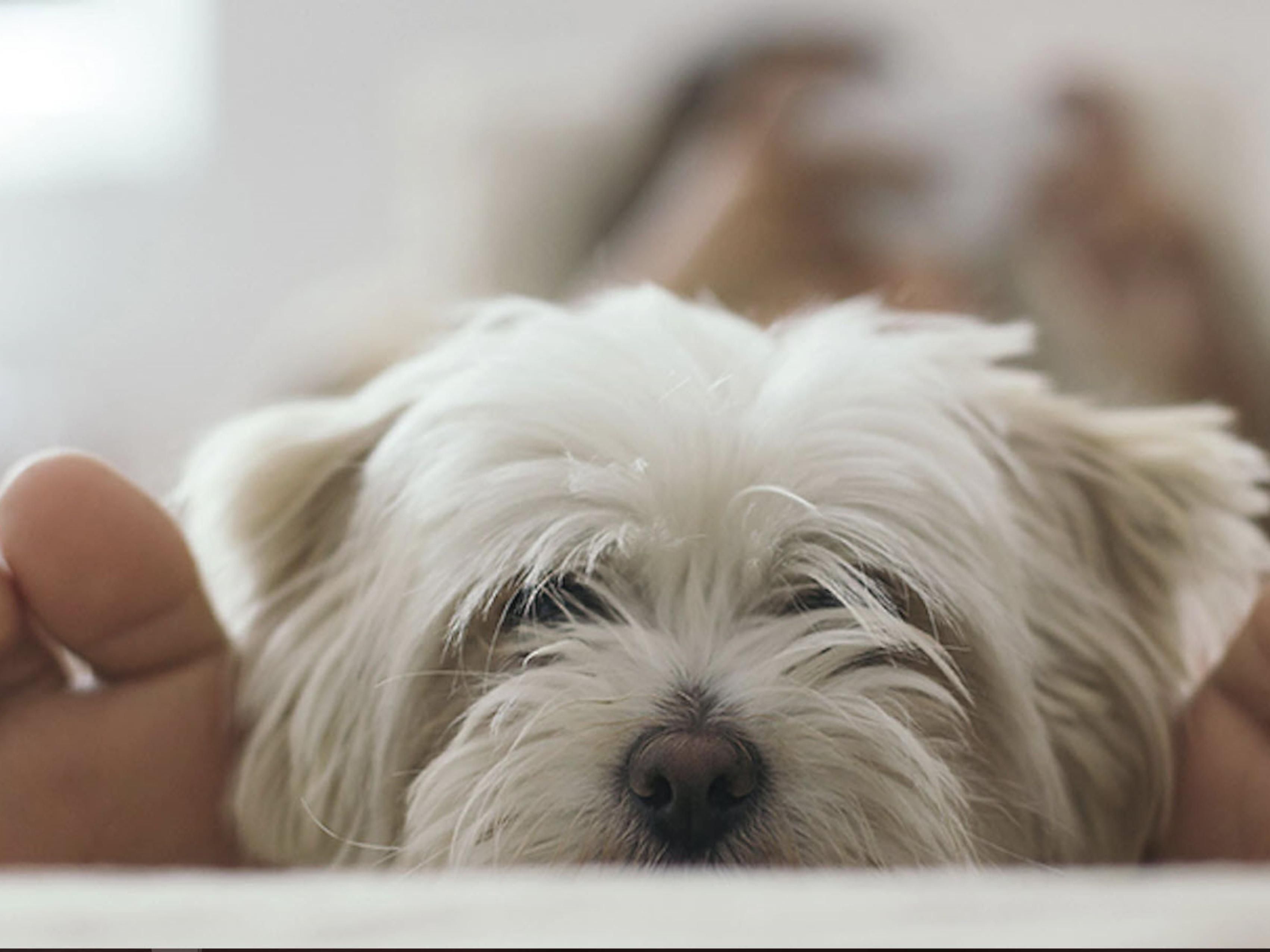 Holiday Inn Express & Suites Richland - Richland, United States