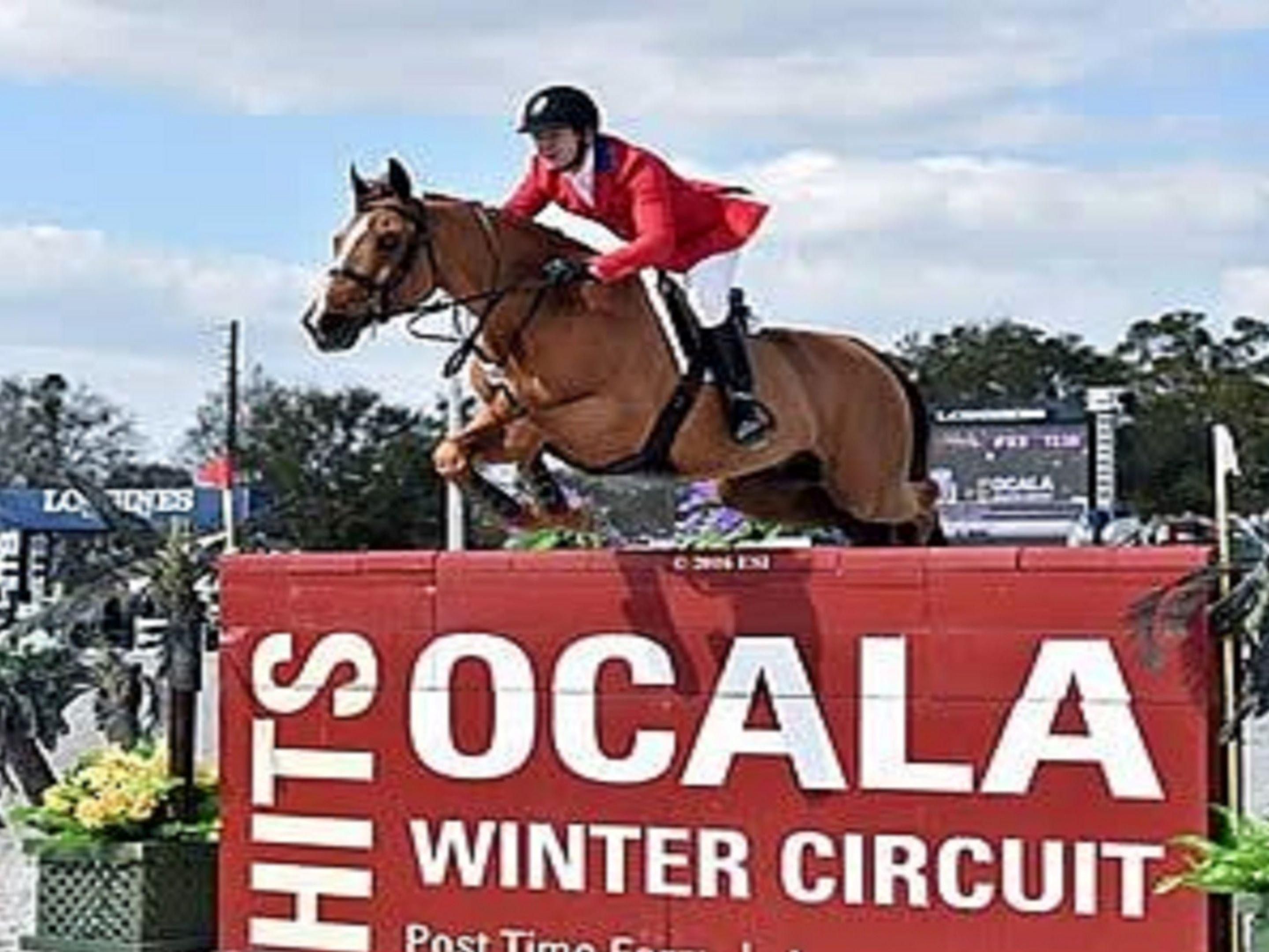 Hotel near Ocala National Forest | Holiday Inn Express & Suites Silver ...