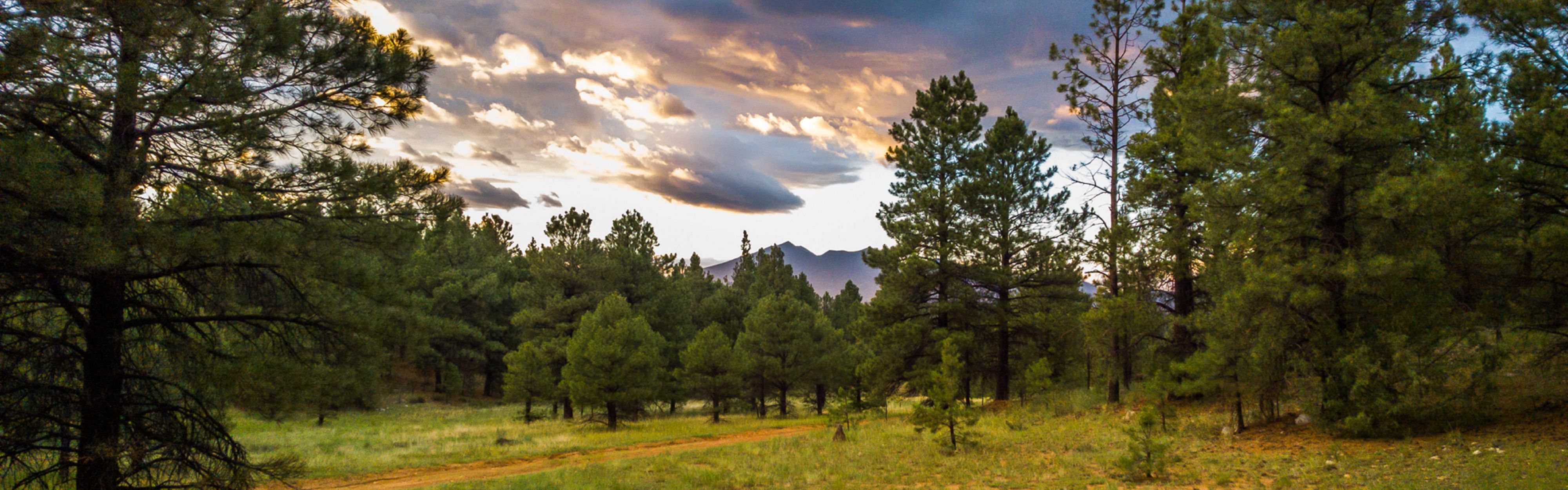 Things to do in Flagstaff near Holiday Inn Express Flagstaff Hotel