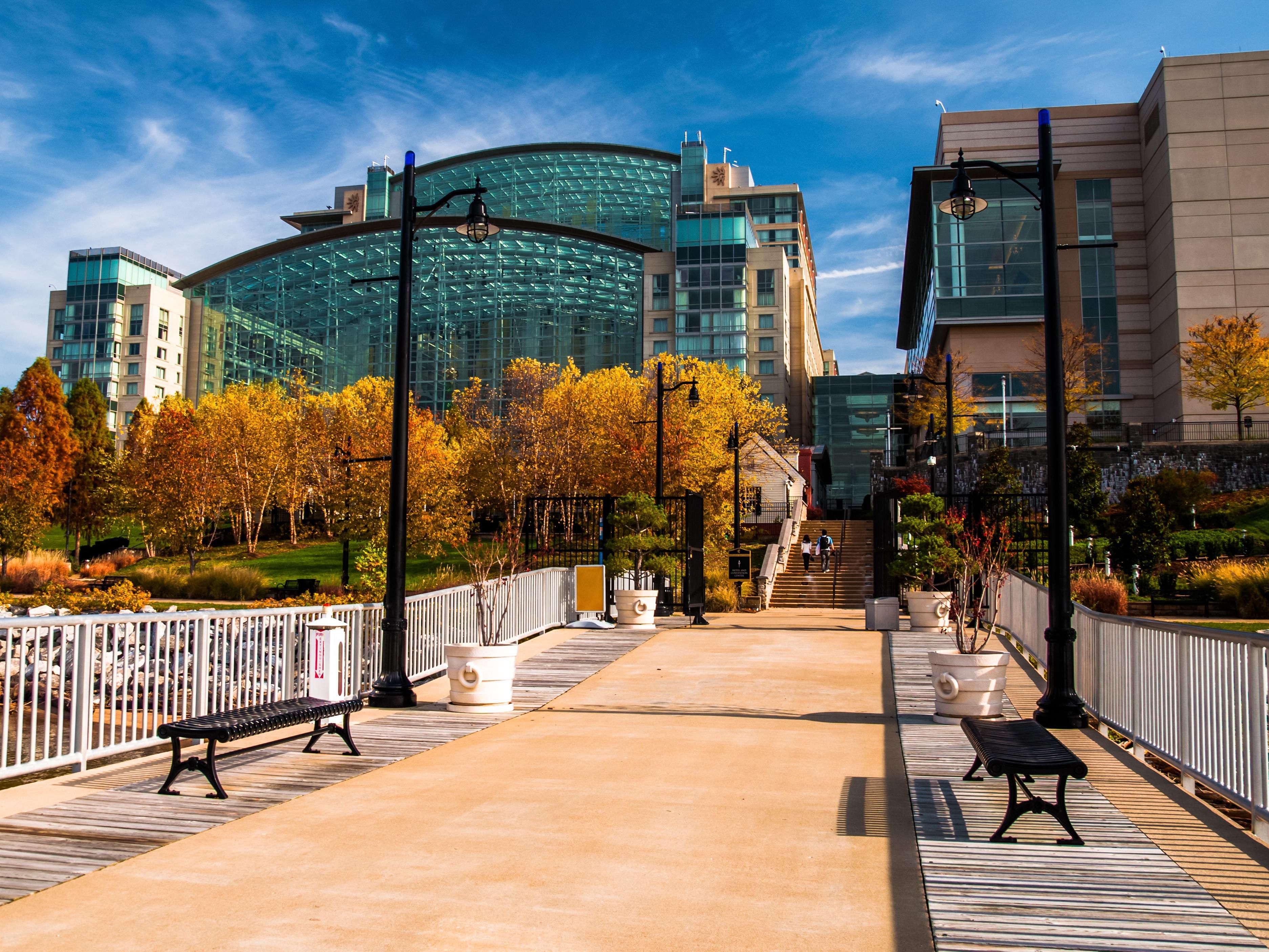 Hyattsville Hotels near Washington DC | Holiday Inn Express Washington ...