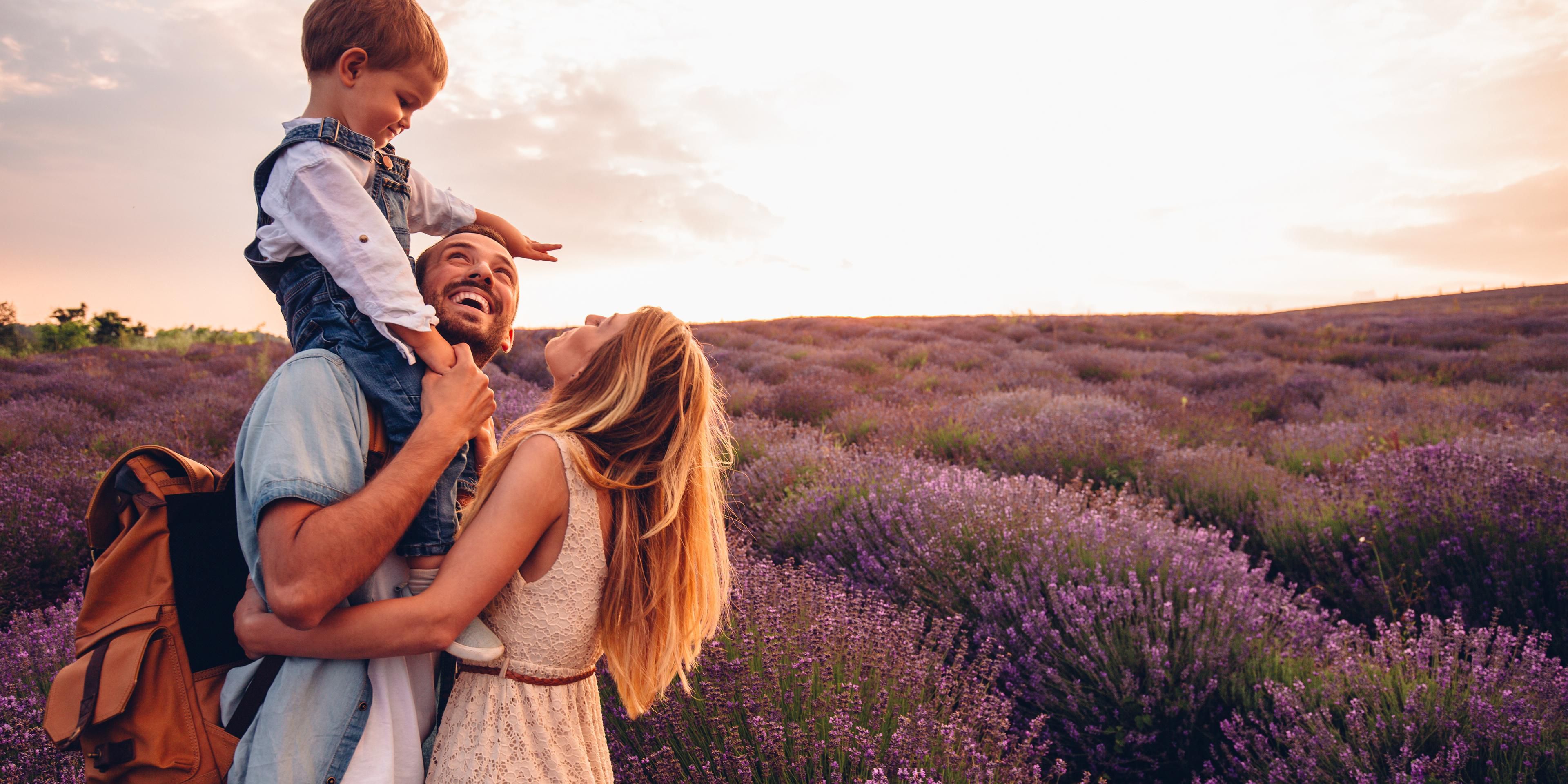 Holiday Inn Express Krefeld - Dusseldorf Hotel by IHG