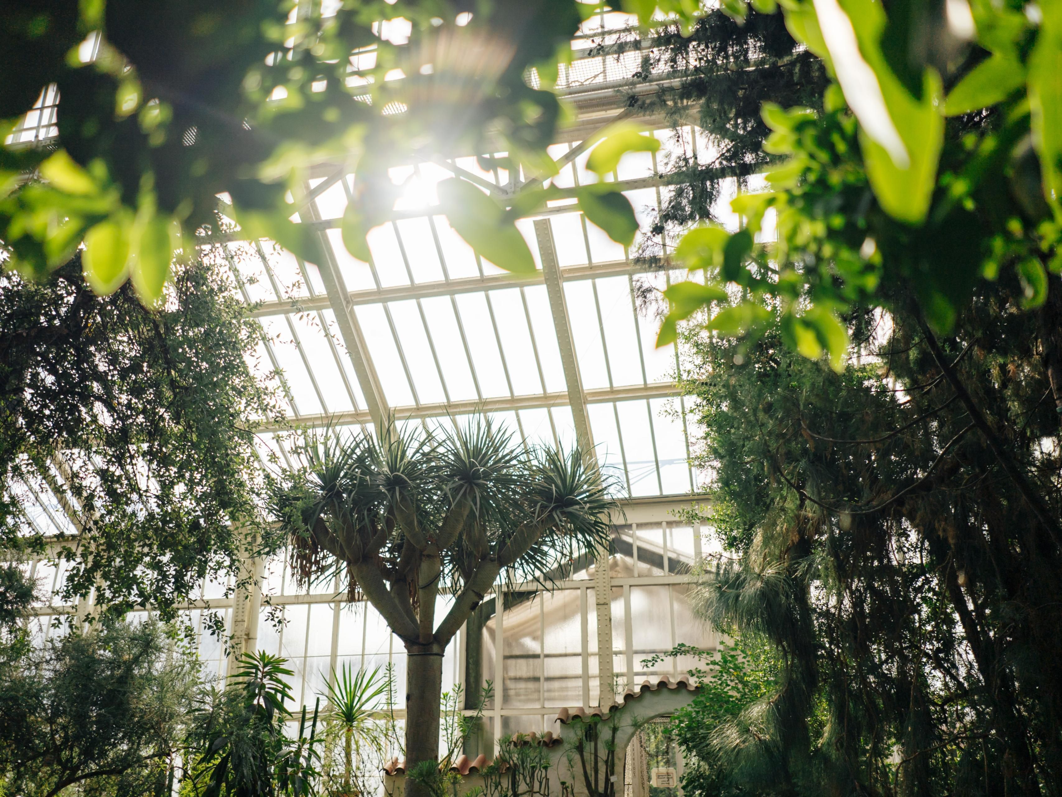 West London Hotels in Hammersmith | Holiday Inn Express London ...