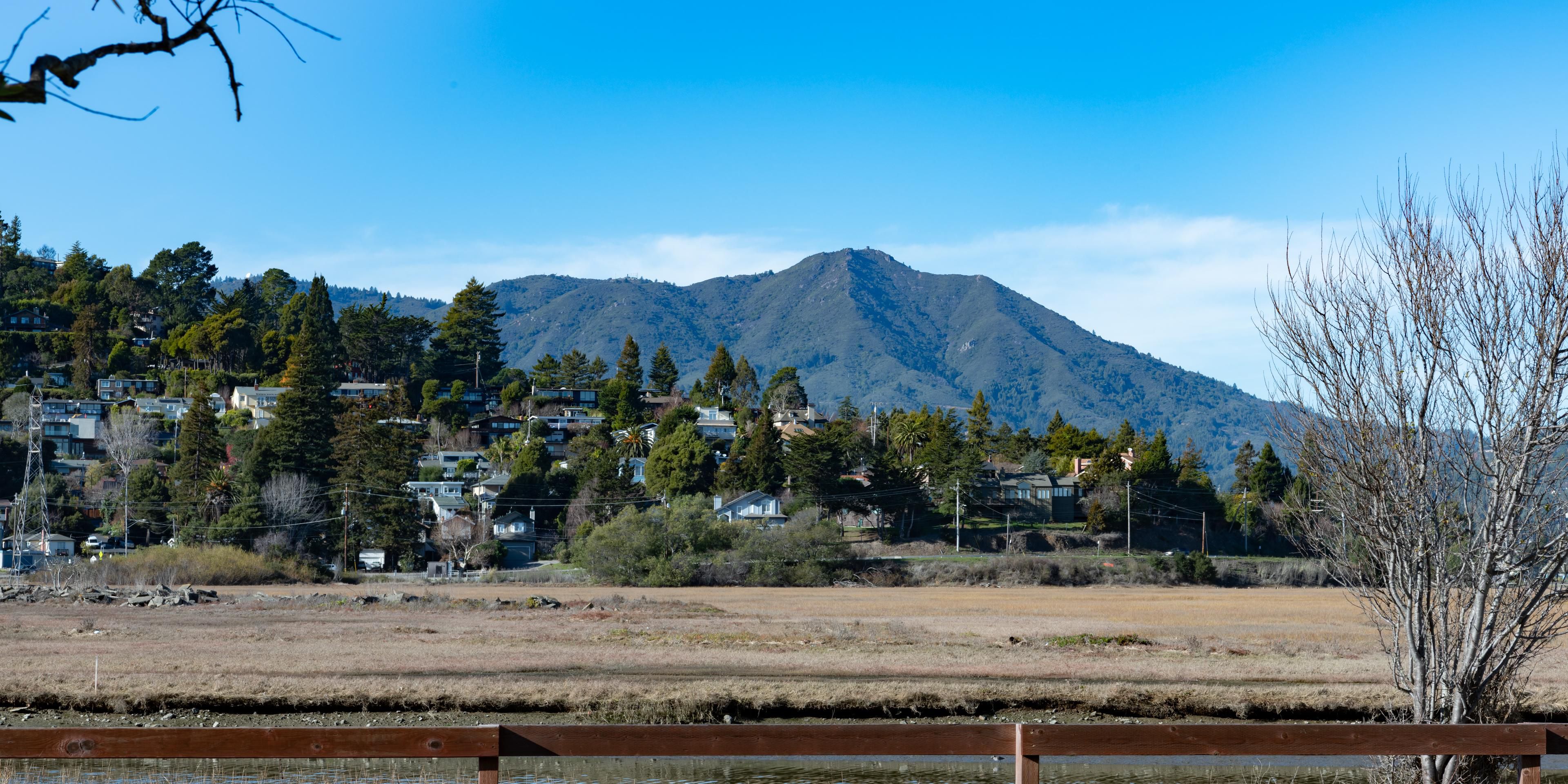 Mill Valley Hotels | Holiday Inn Express Mill Valley San Francisco Area