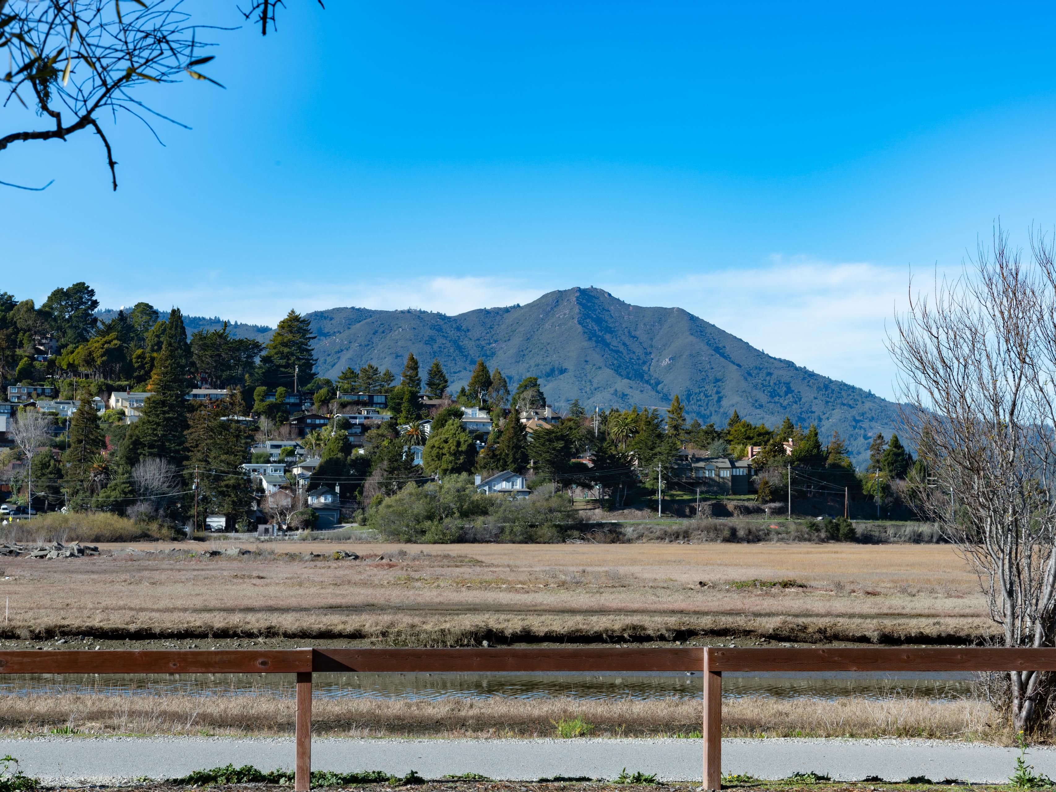 Marin County Hotel | Holiday Inn Express Mill Valley San Francisco Area