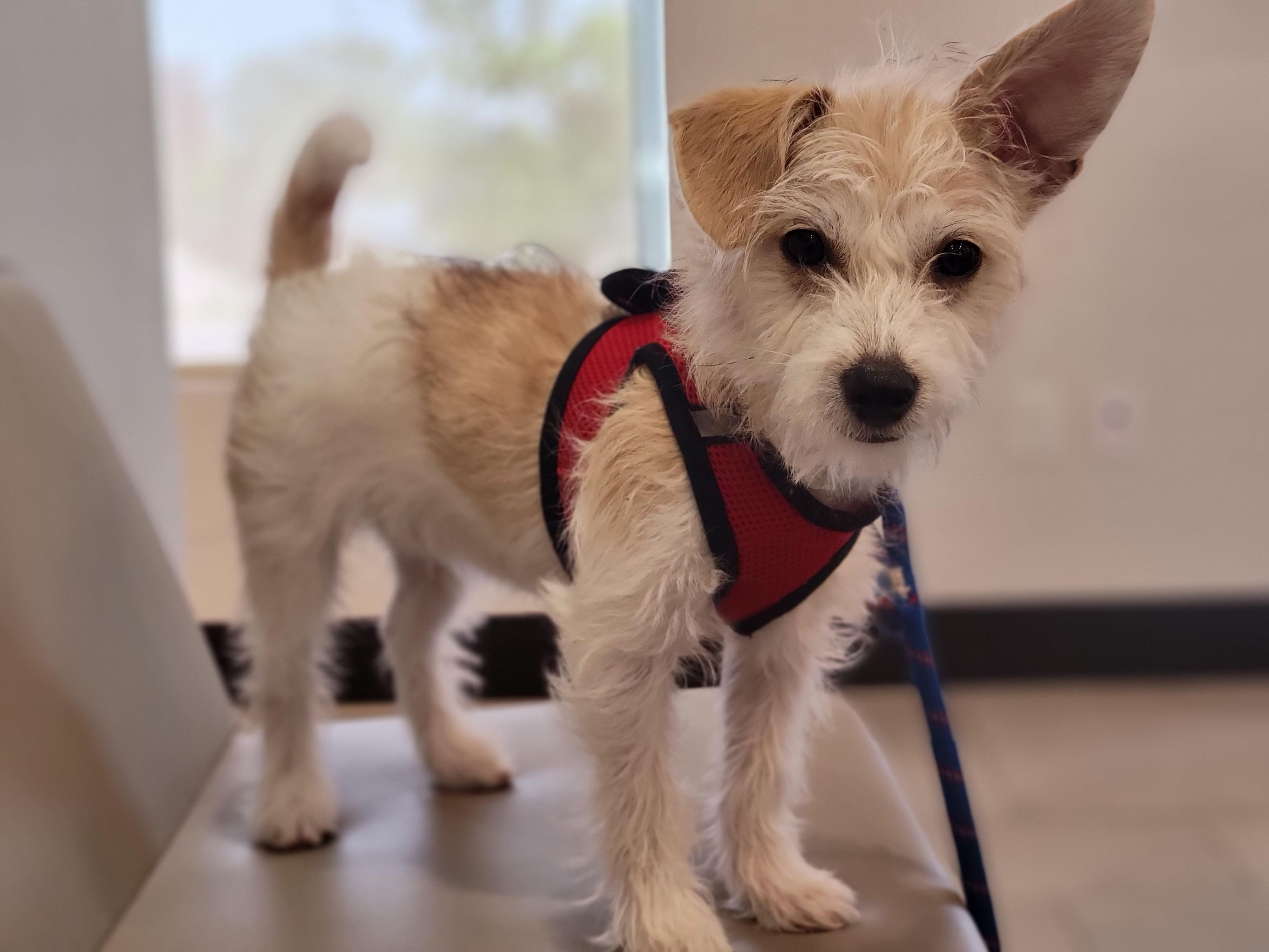 Holiday Inn Express Sarnia - Point Edward - Point Edward,