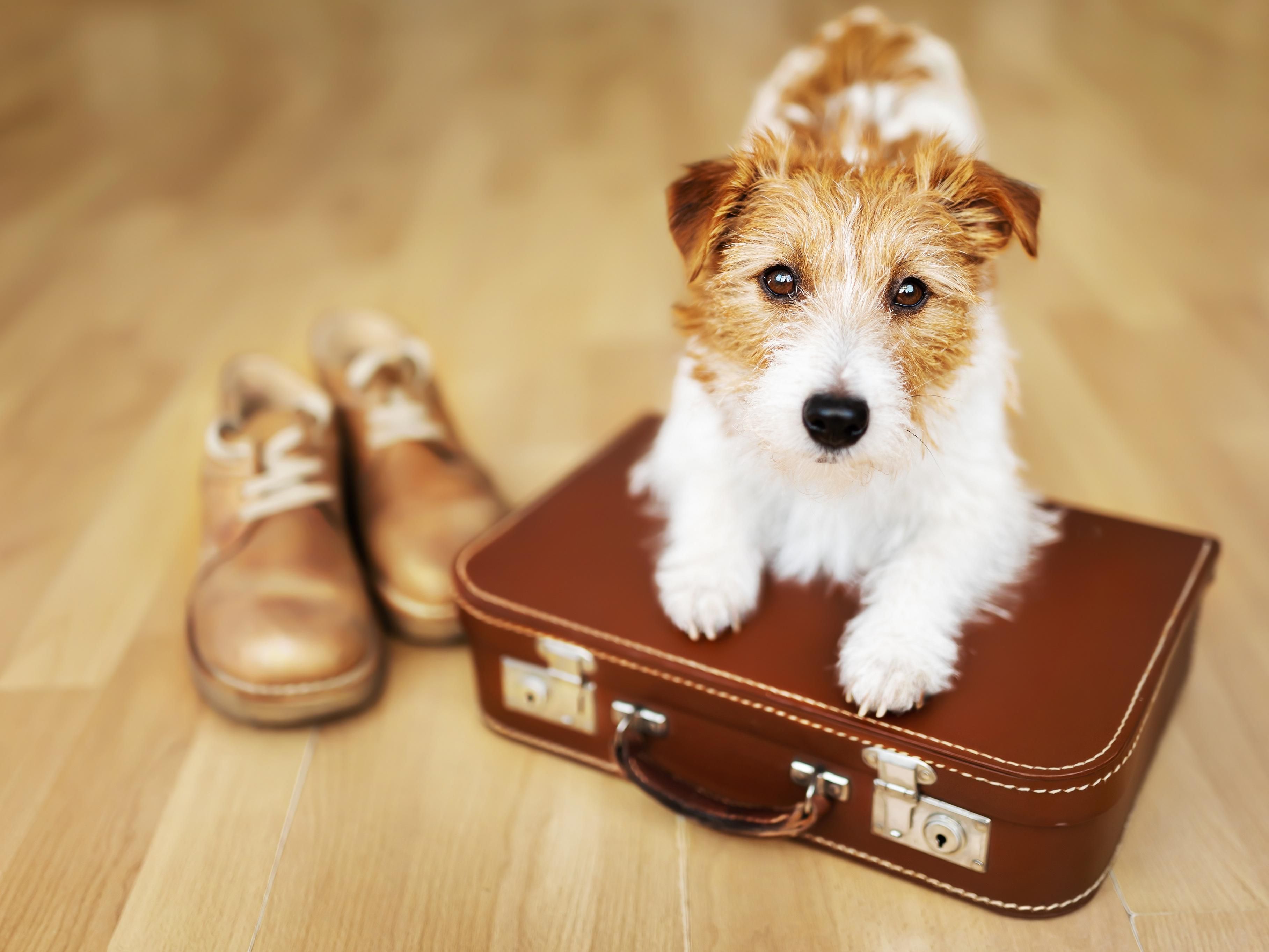 Holiday Inn Express Bodmin - Victoria Junction Hotel by IHG