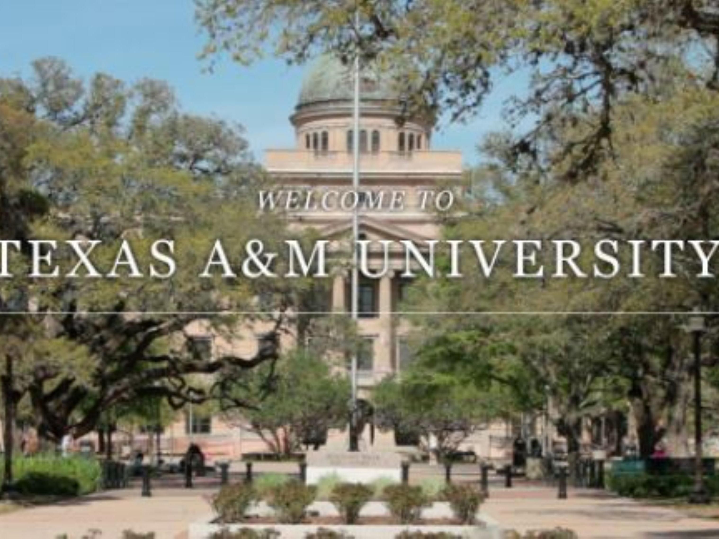 College Station Hotel | Holiday Inn & Suites College Station-Aggieland