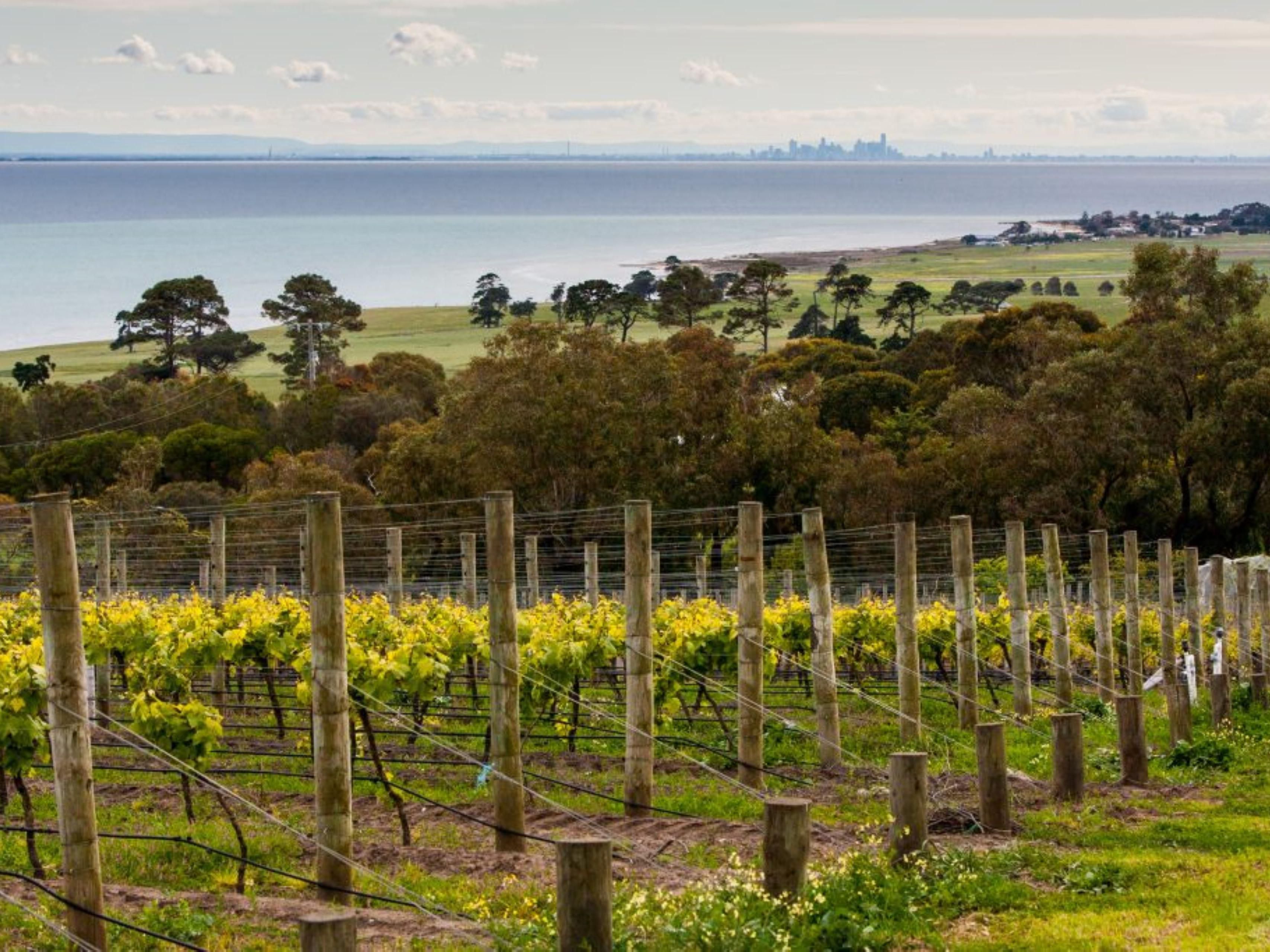 Hotel in Geelong | Holiday Inn Hotel & Suites Geelong Hotel