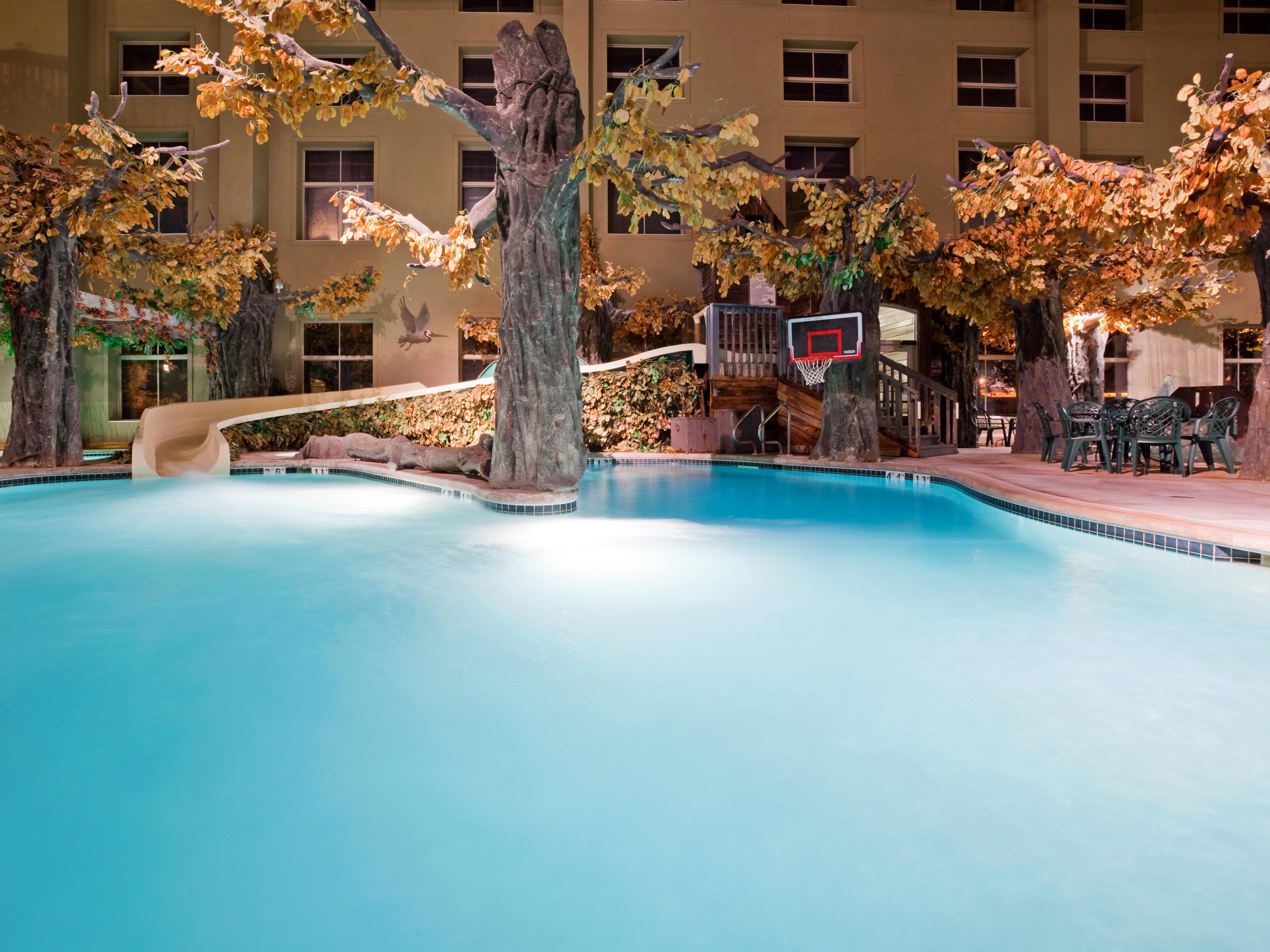 Madison Hotel near Alliant Energy Center | Holiday Inn & Suites Madison ...