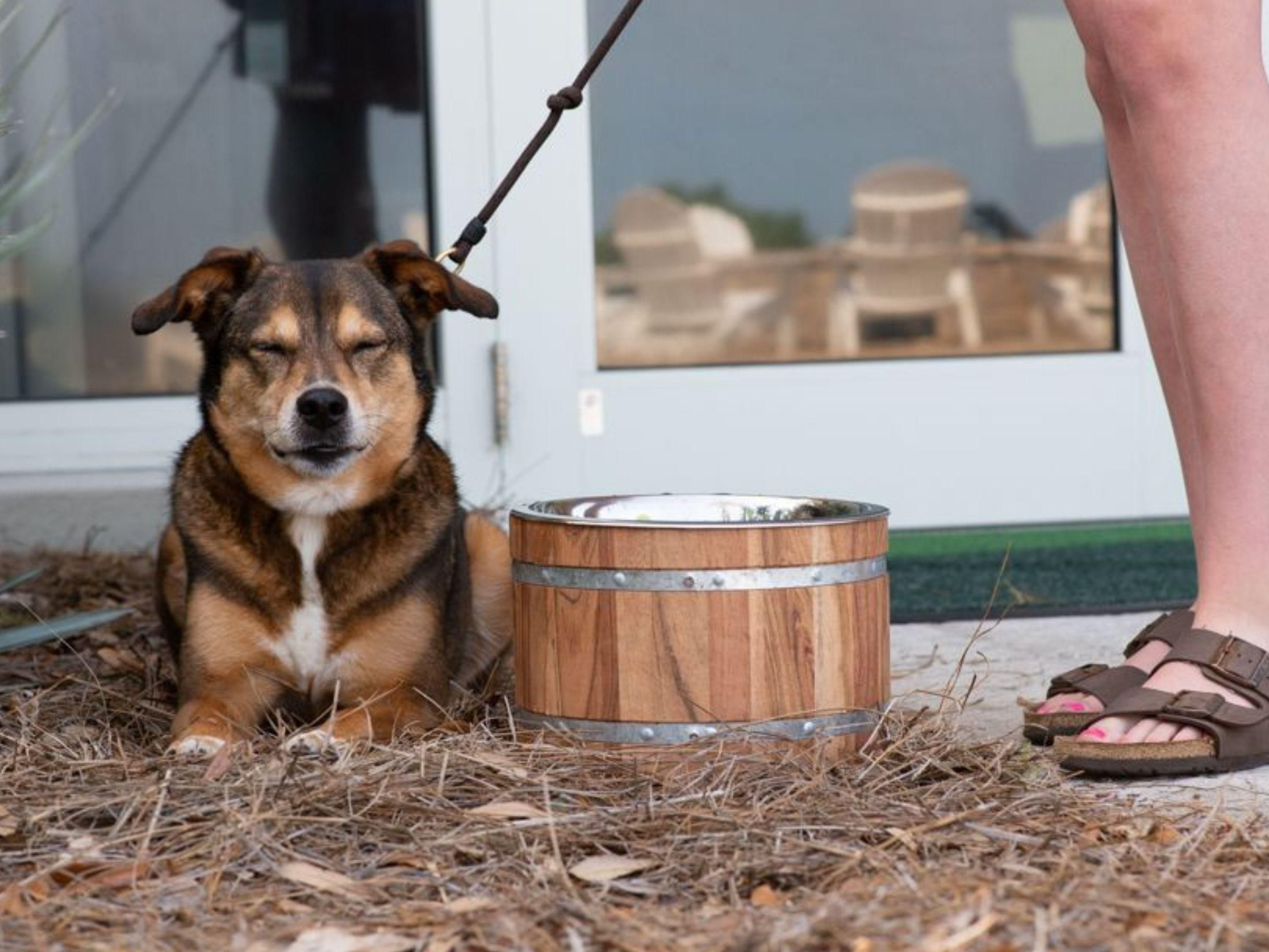 Hotel Rooms in Jekyll Island | Holiday Inn Resort Jekyll