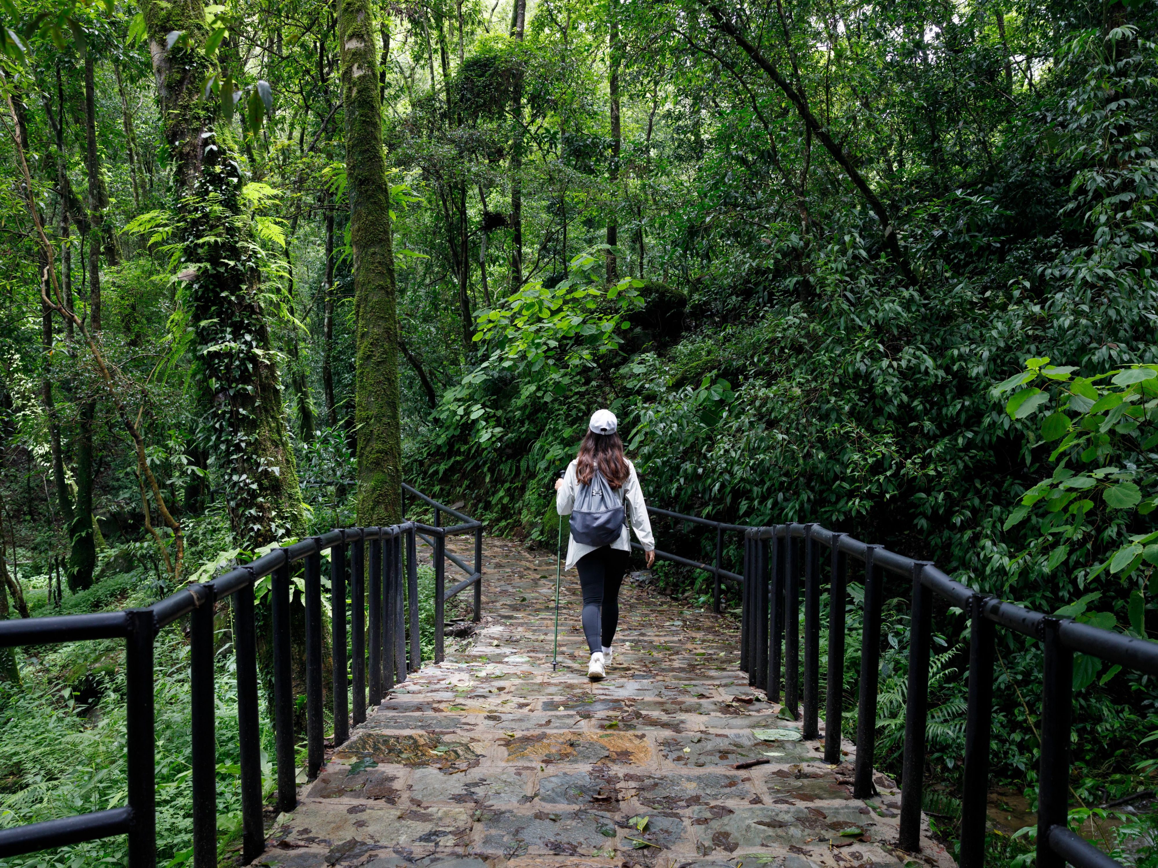 Family Resort in Kathmandu | Holiday Inn Resort Kathmandu ...