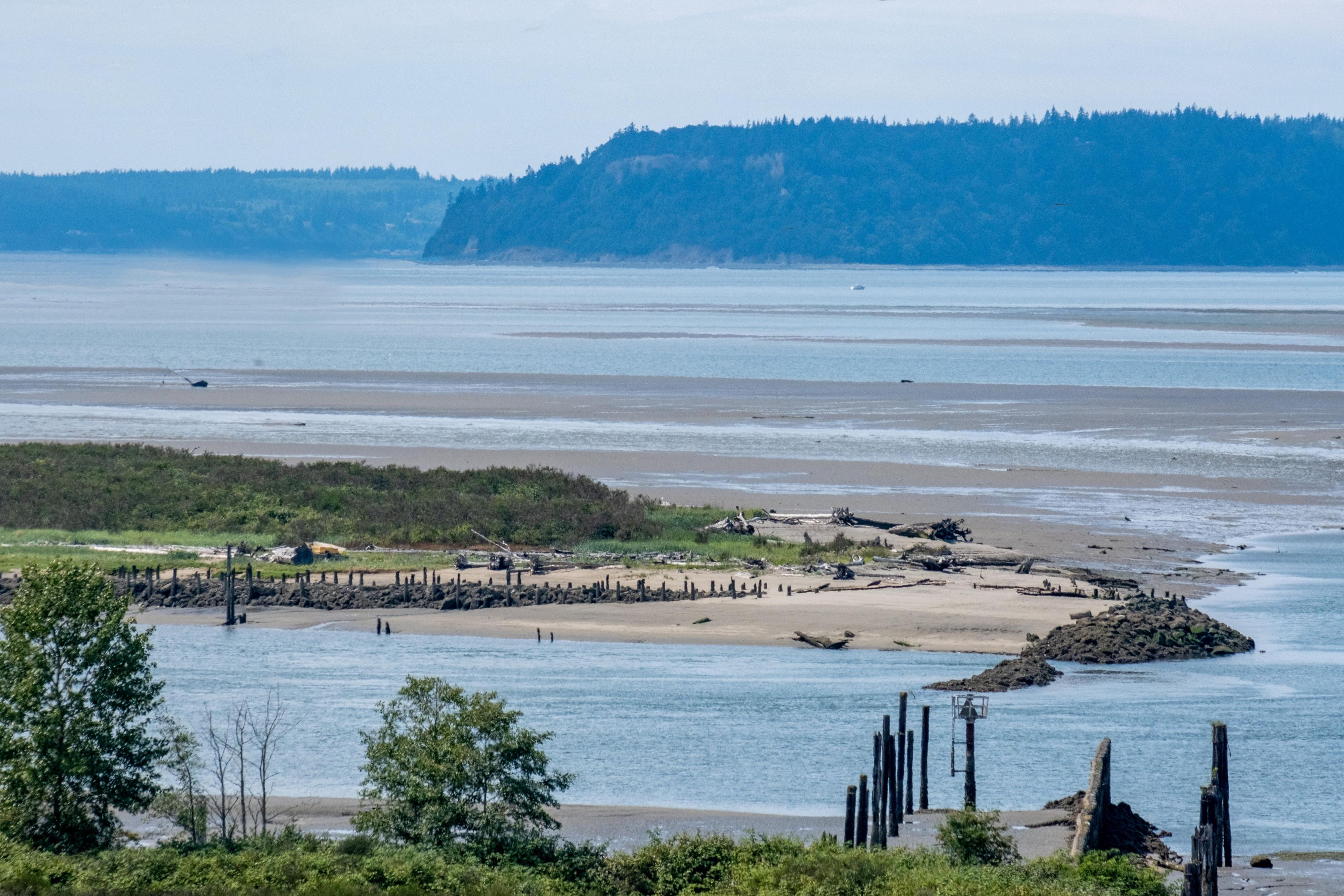 Hotel boutique en Everett | Hotel Indigo Seattle Everett Waterfront