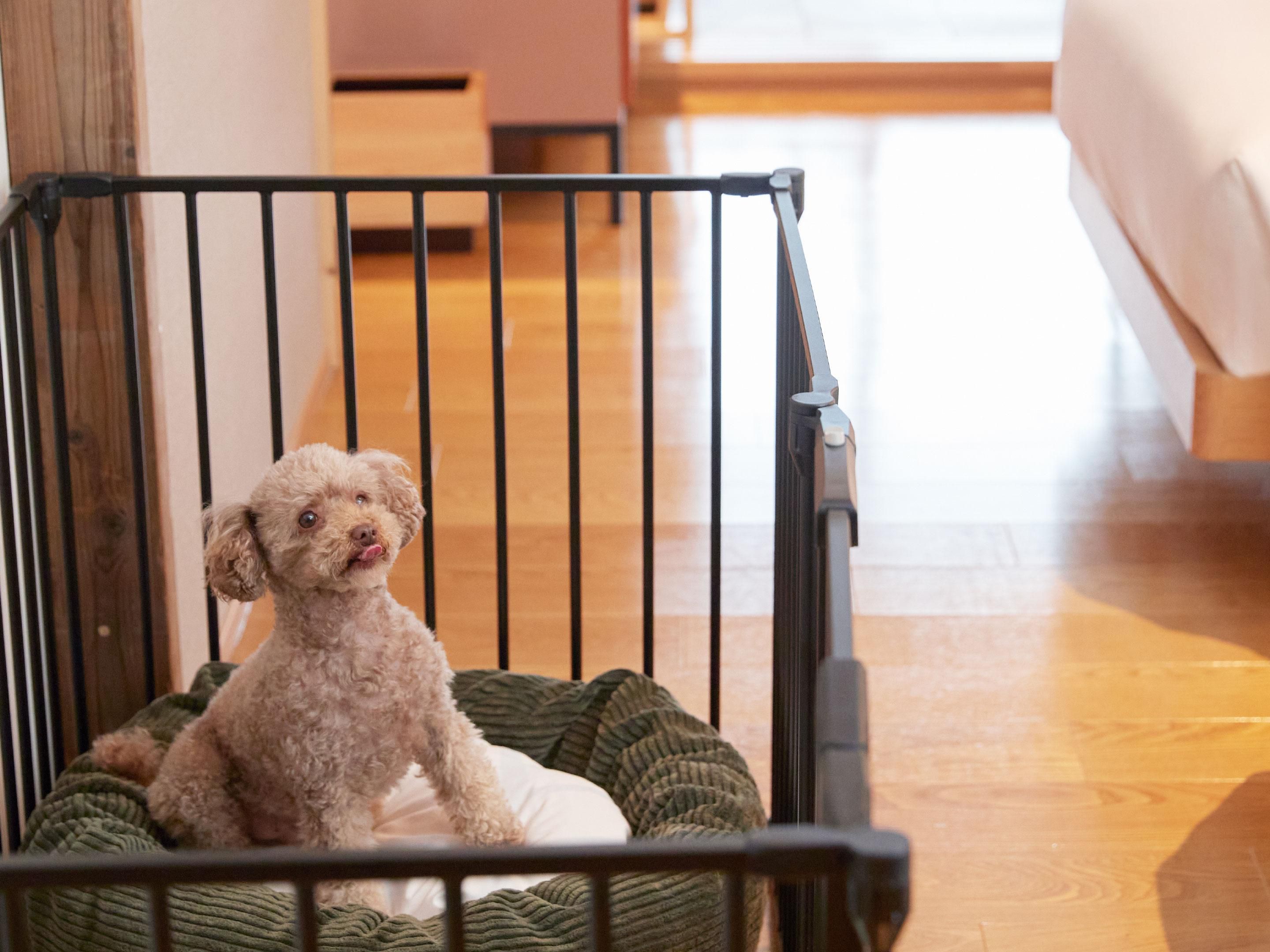 Boutique Hotel in Hakone | Hotel Indigo Hakone Gora