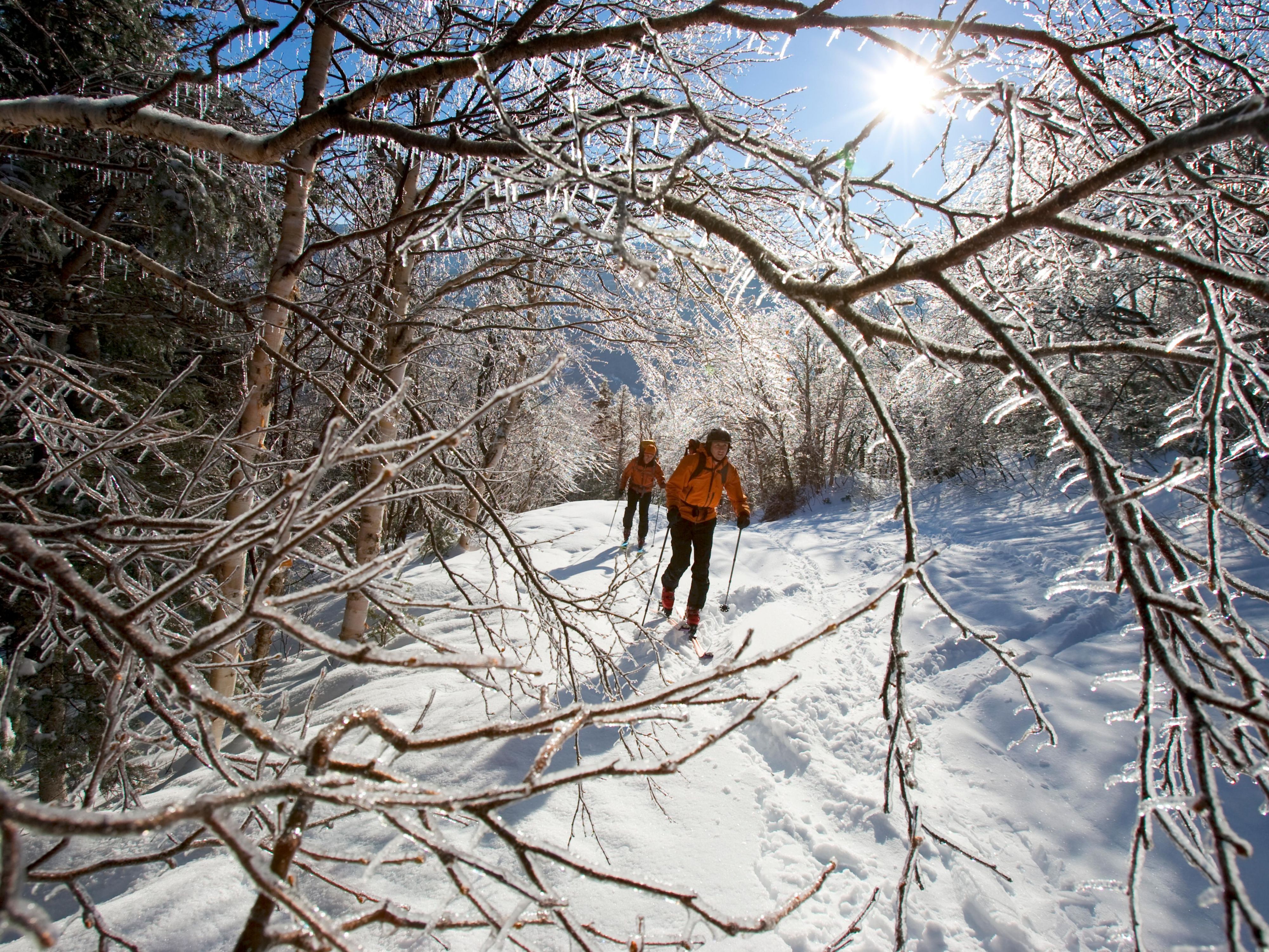 Things To Do In North Conway NH | Hotel Indigo North Conway
