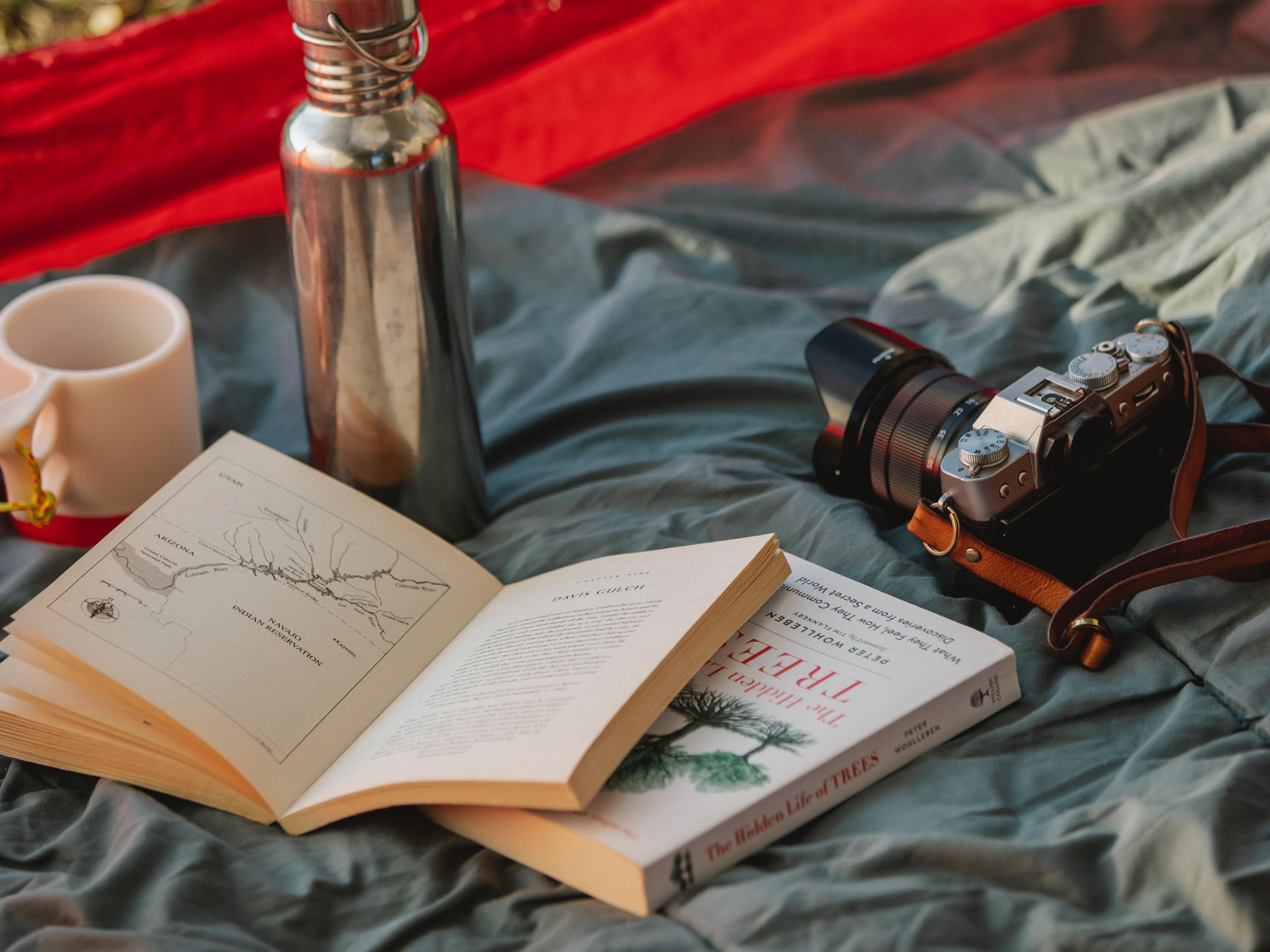 Spring Hotel Deals for Hotel Indigo Spring – Woodlands Area