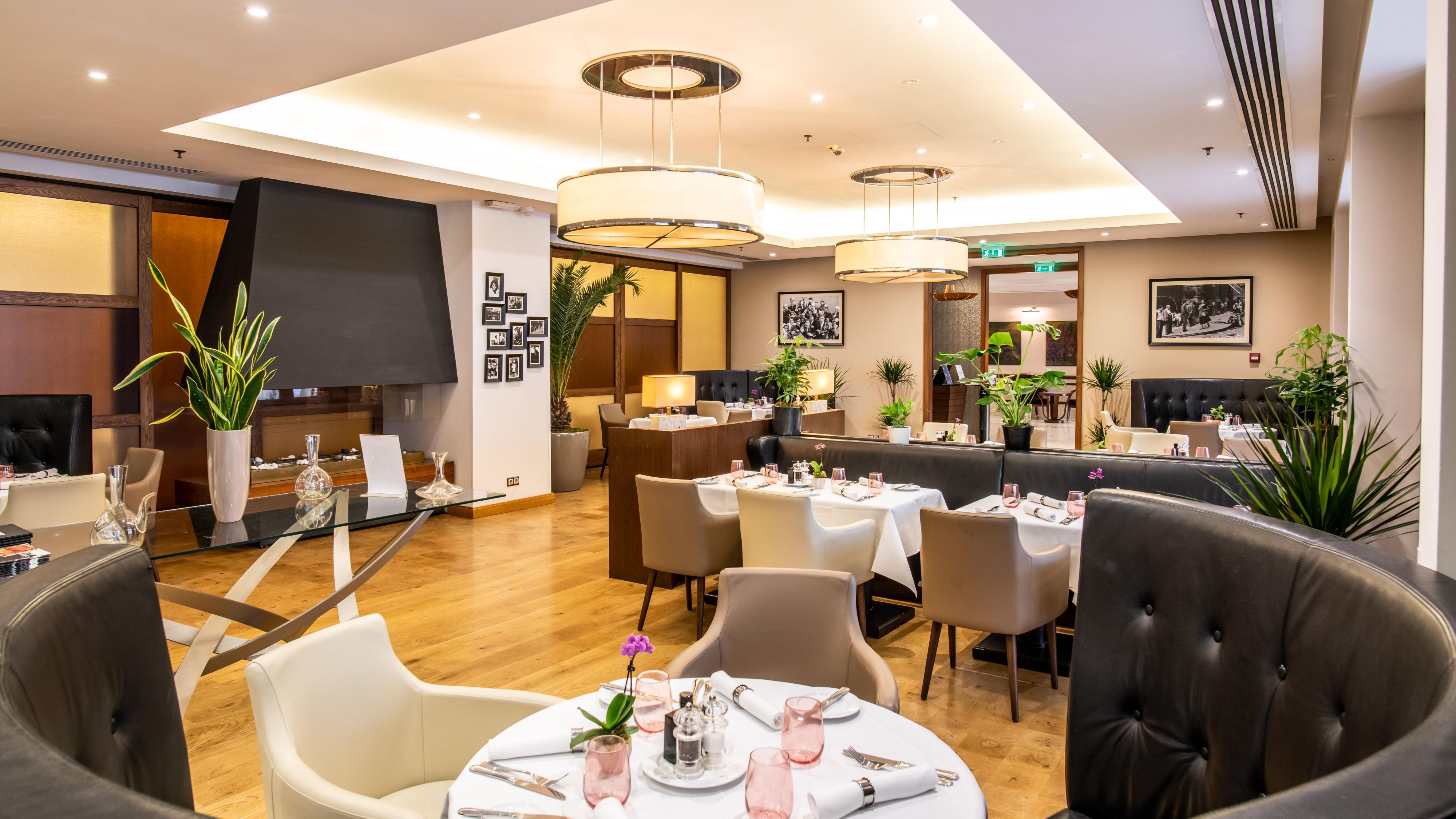 A glamorous culinary journey