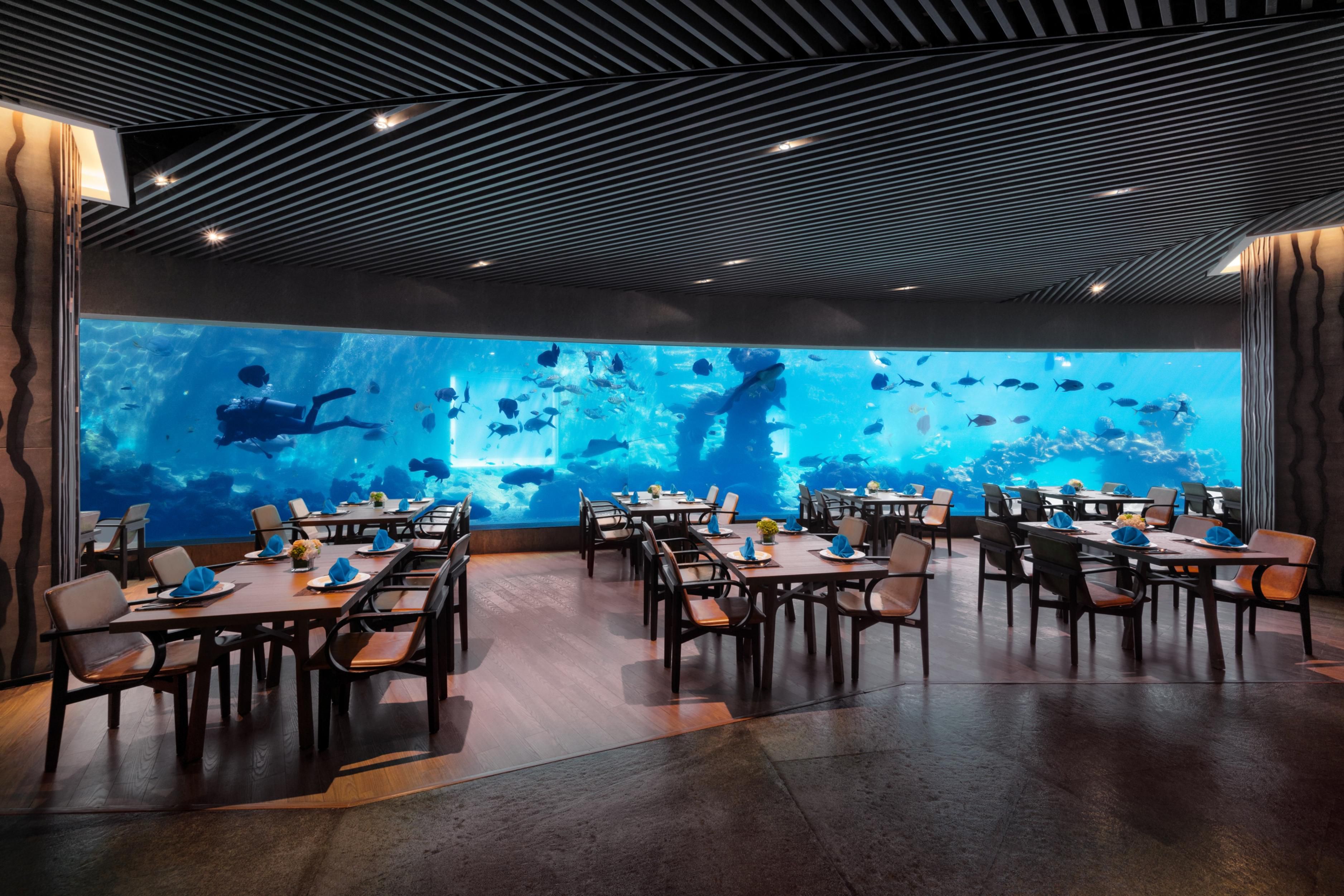 Dining Options in Sanya | InterContinental Sanya Haitang Bay Resort