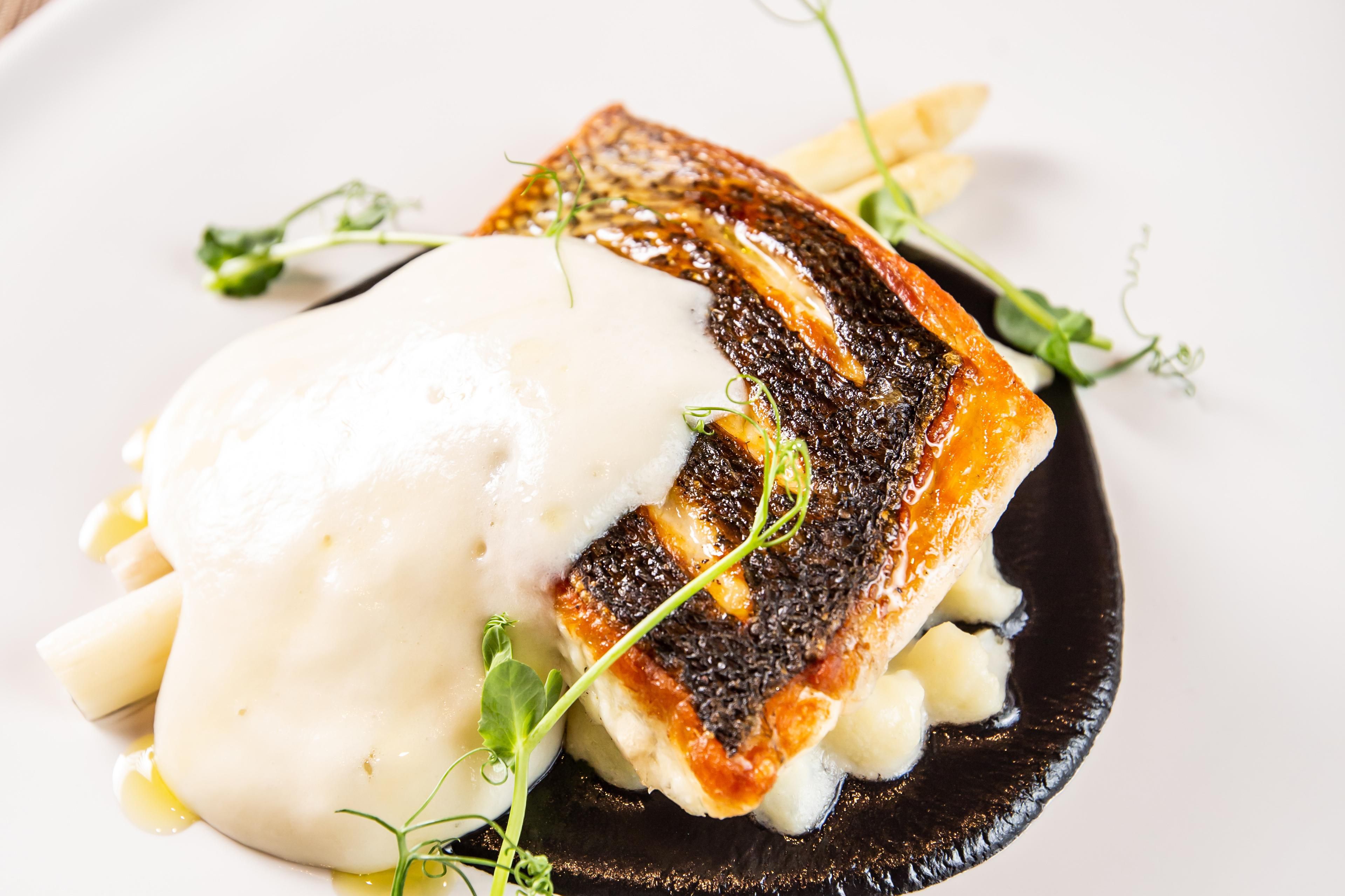 Opciones gastronómicas en Sofia | InterContinental Sofía