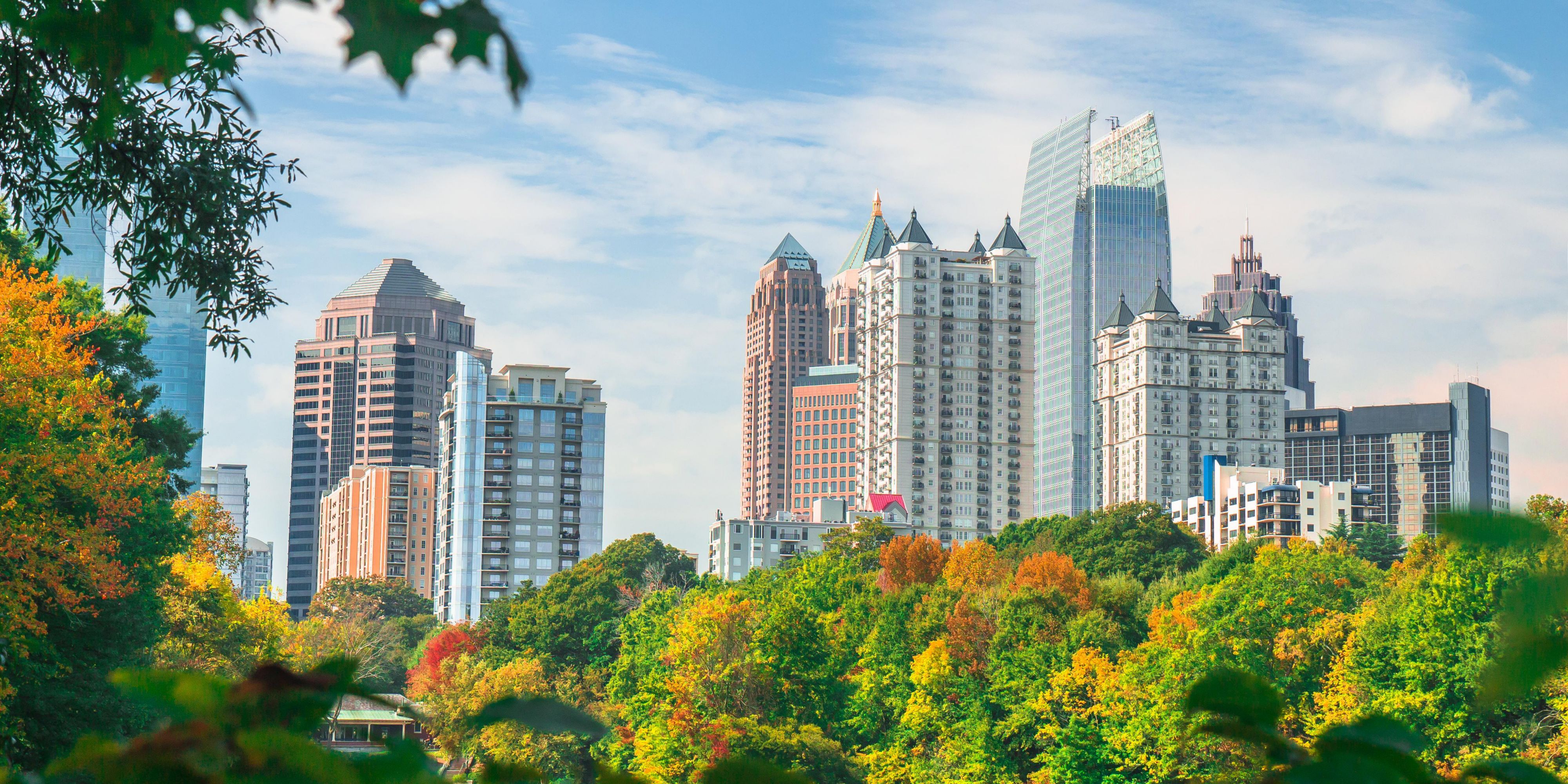 Kimpton Shane Hotel in Midtown Atlanta | Kimpton Hotel