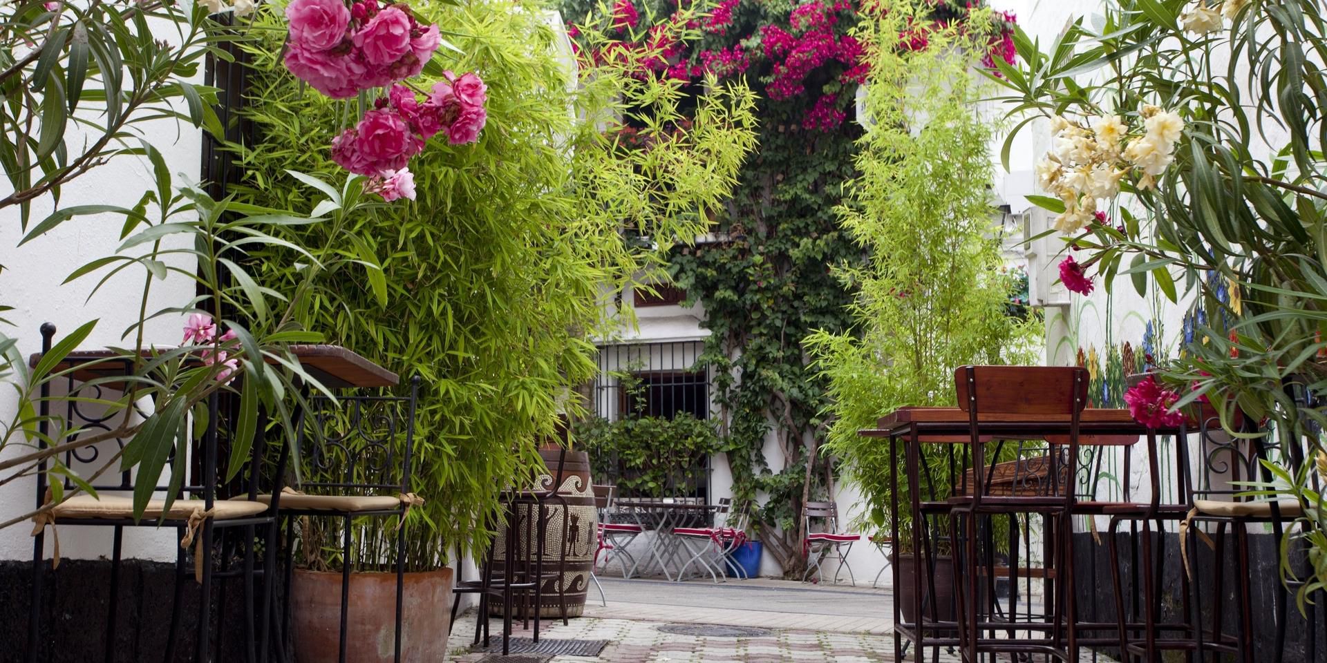 Marbella Boutique Hotel | Kimpton Hotel