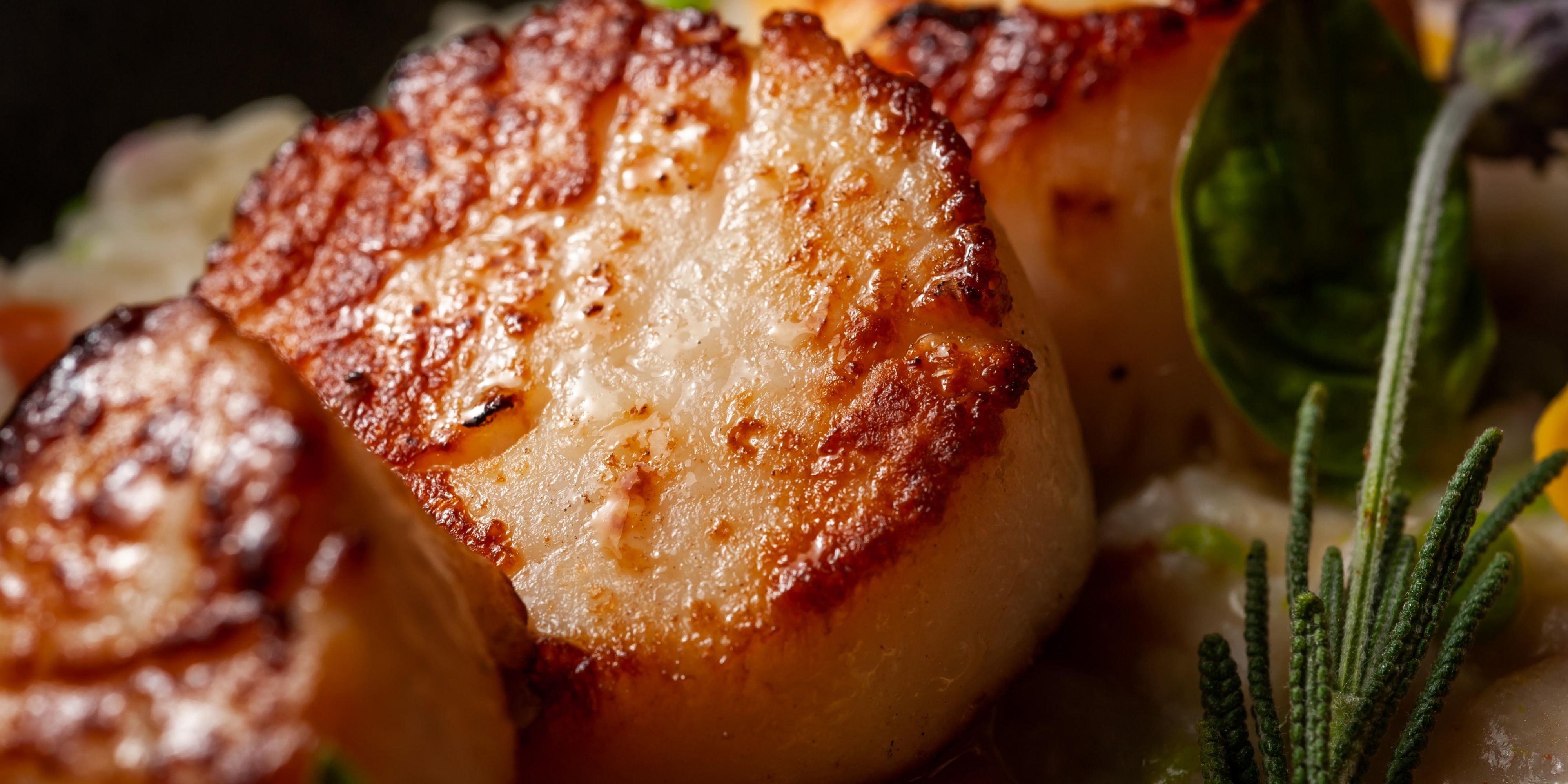 Area 31 | Kimpton Restaurants