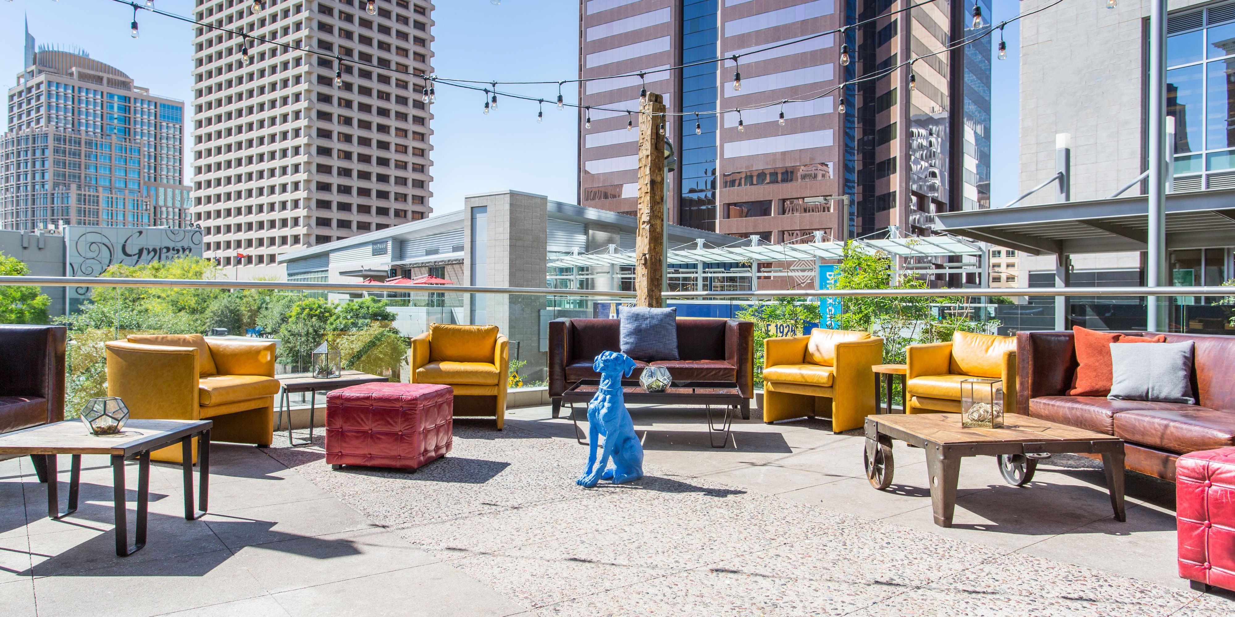 Blue Hound Kitchen & Cocktails at Kimpton Hotel Palomar Phoenix