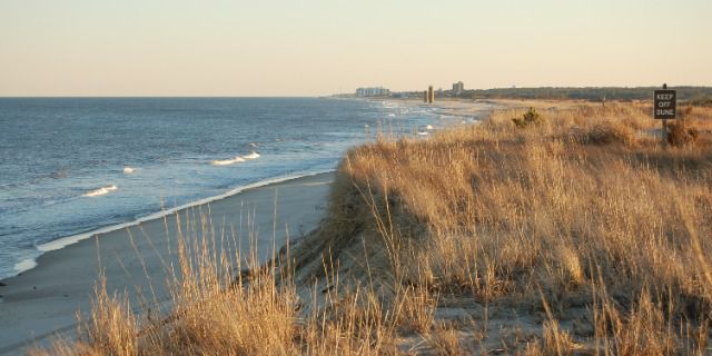 Top Beachfront Hotels & Beach Resorts | IHG Hotels & Resorts